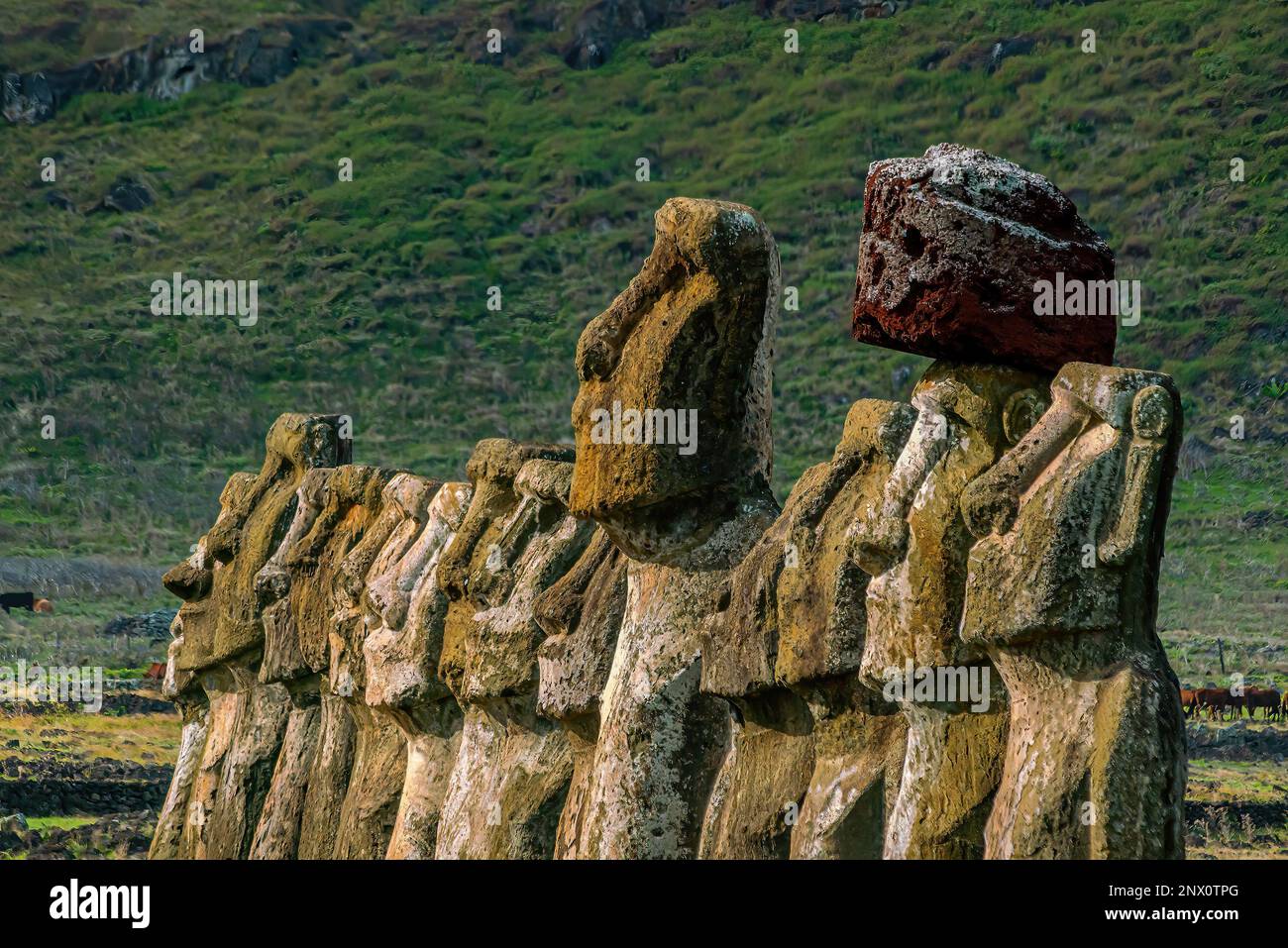 The ancient moai of Ahu Togariki, on Easter Island of Chile Stock Photo ...