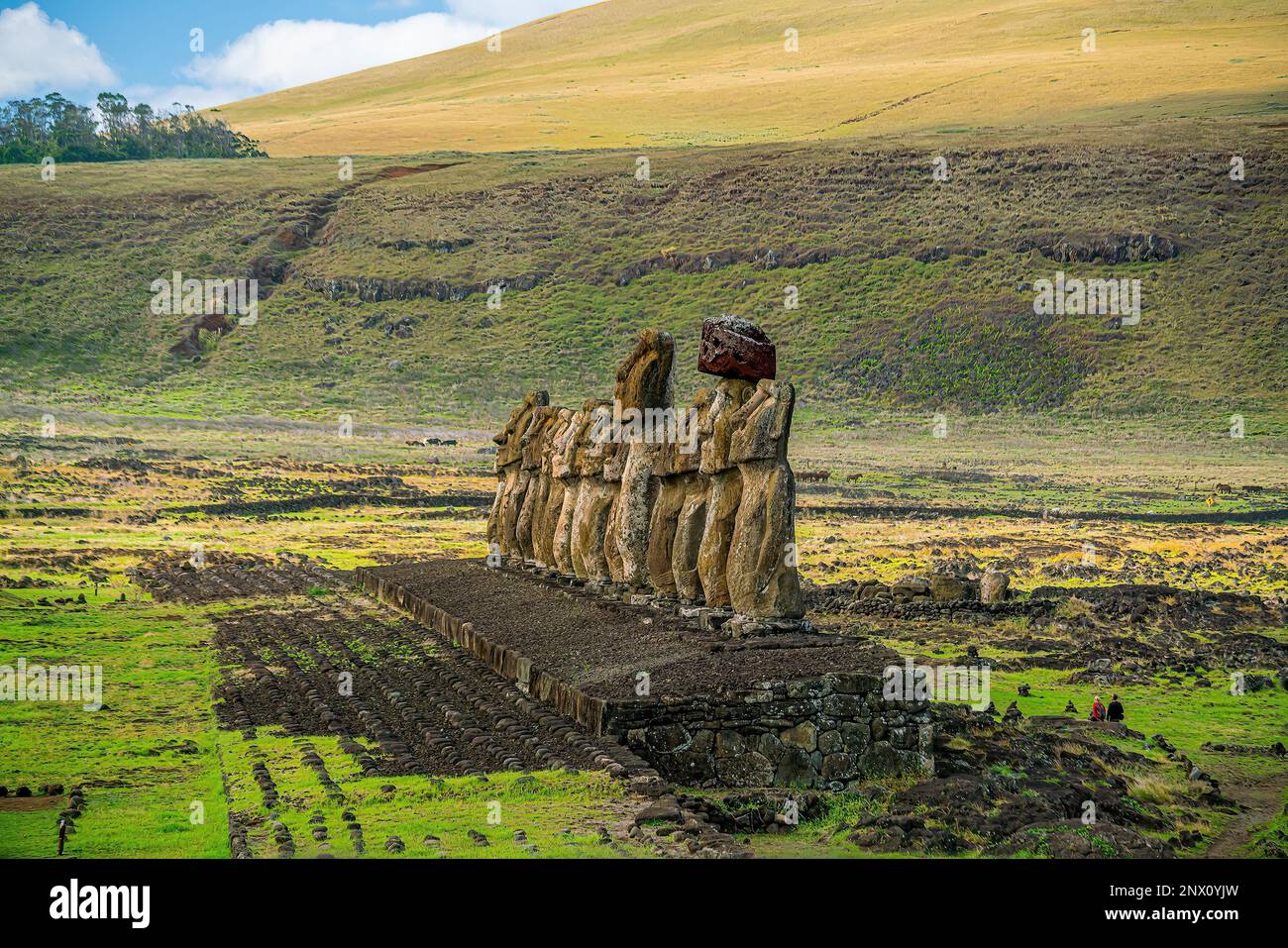 The ancient moai of Ahu Togariki, on Easter Island of Chile Stock Photo ...