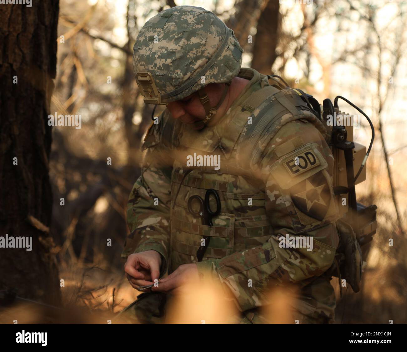An Explosive Ordnance Disposal Specialist with 718th EOD Company, 23rd ...