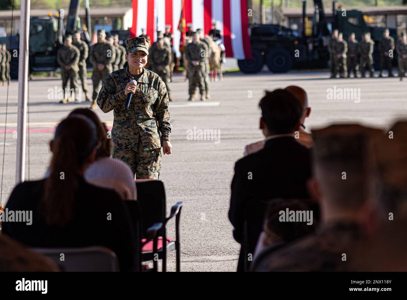 U.S. Marine Sgt. Maj. Diana E. Bacolod, the outgoing sergeant major of ...