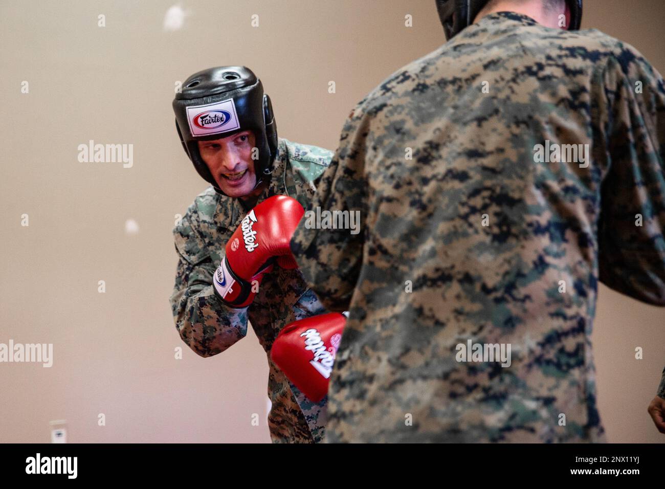 U.S. Marine Corps Lt. Col. Ryan Harrington, the commanding officer of ...