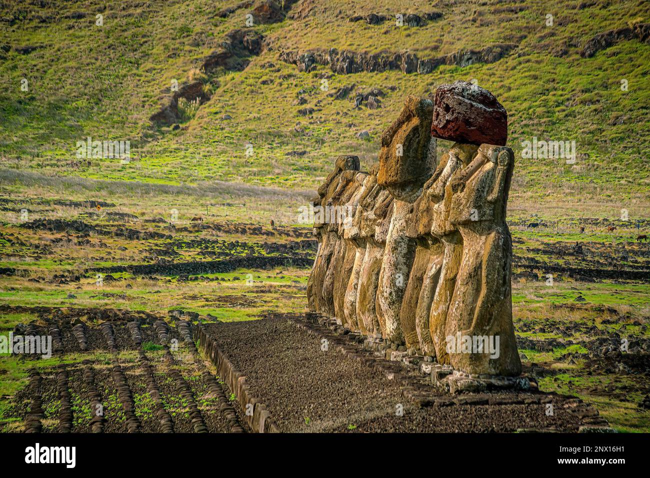 The ancient moai of Ahu Togariki, on Easter Island of Chile Stock Photo ...