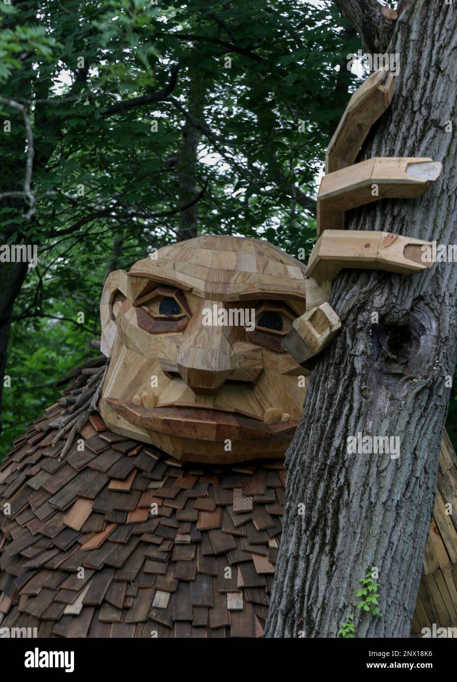 Artist dambo hi-res stock photography and images - Alamy