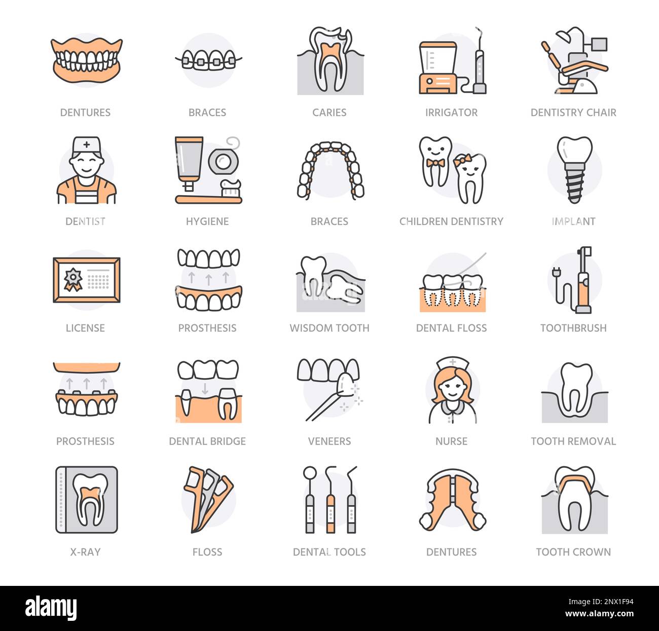 Dentist, orthodontics line icons. Dental care equipment, braces, tooth ...
