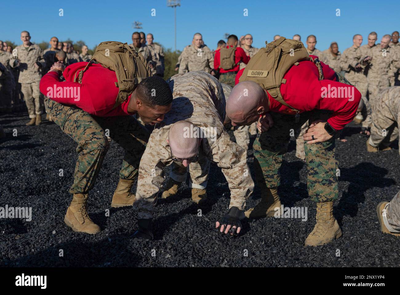 U.S. Marine Corps drill instructors with Alpha Company, 1st Recruit ...