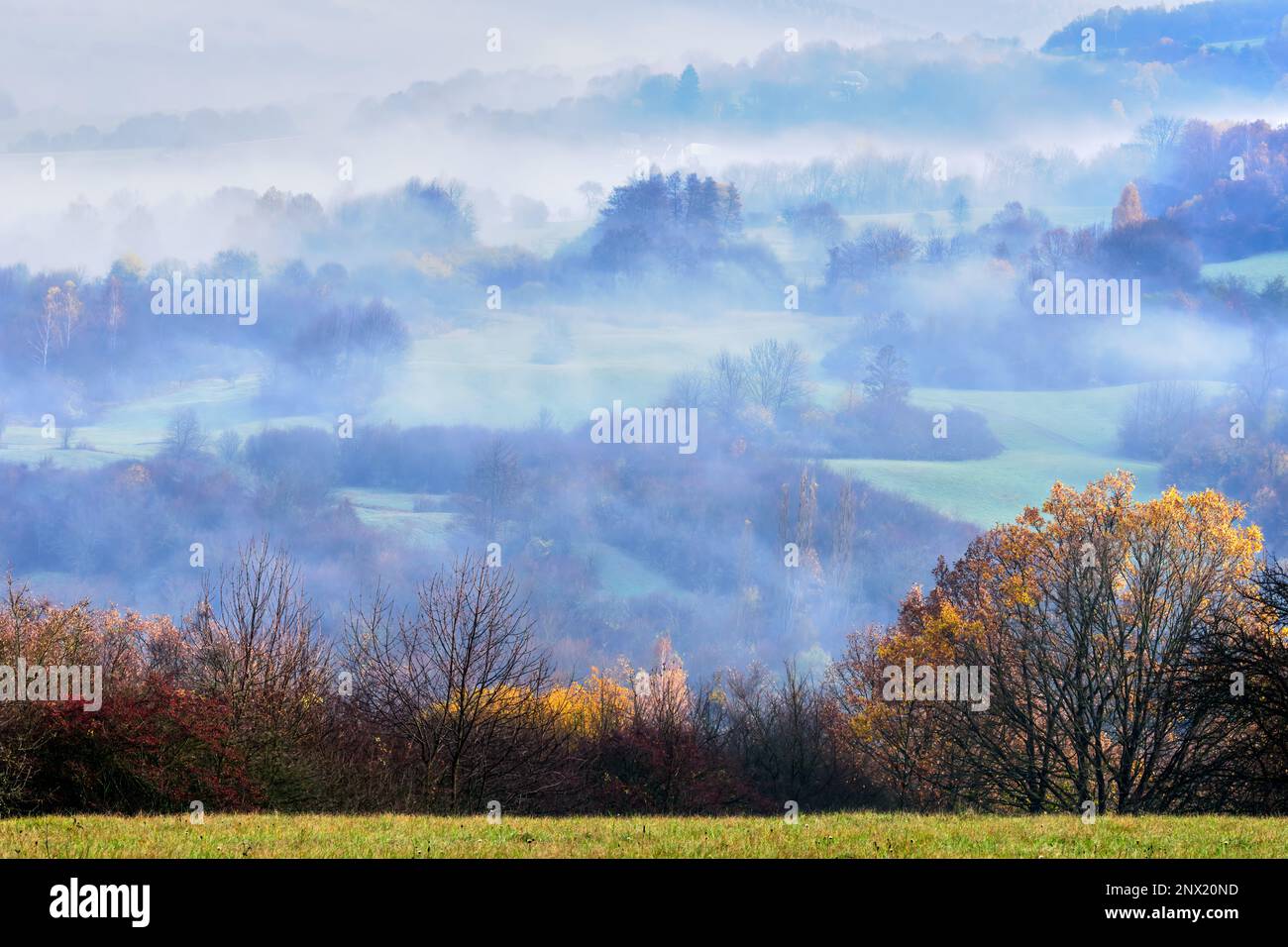 Fooggy morning in autumn rural landscape with forest. View into the ...