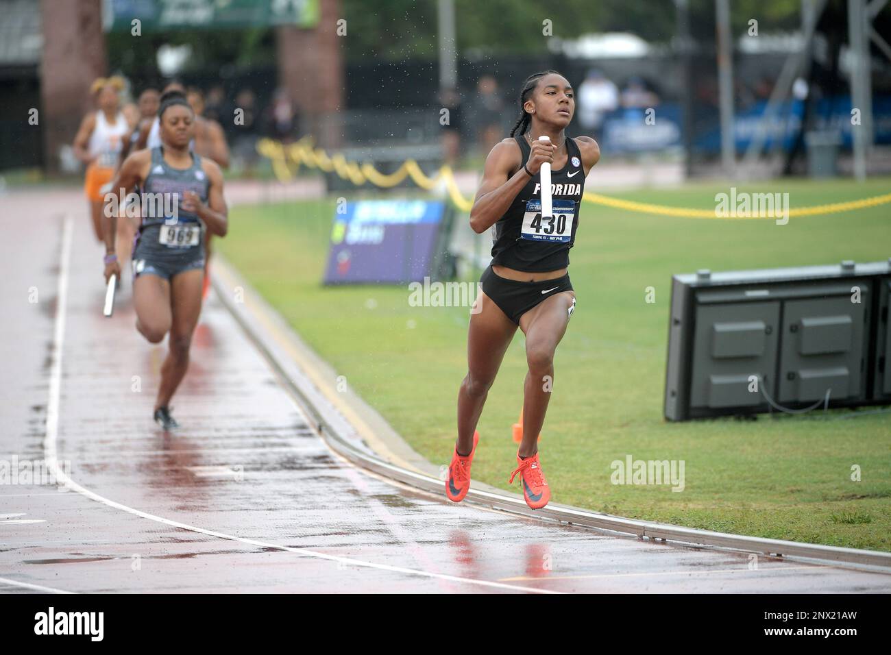Florida's Nikki Stephens (430) competes in the women's 4X400-meter ...