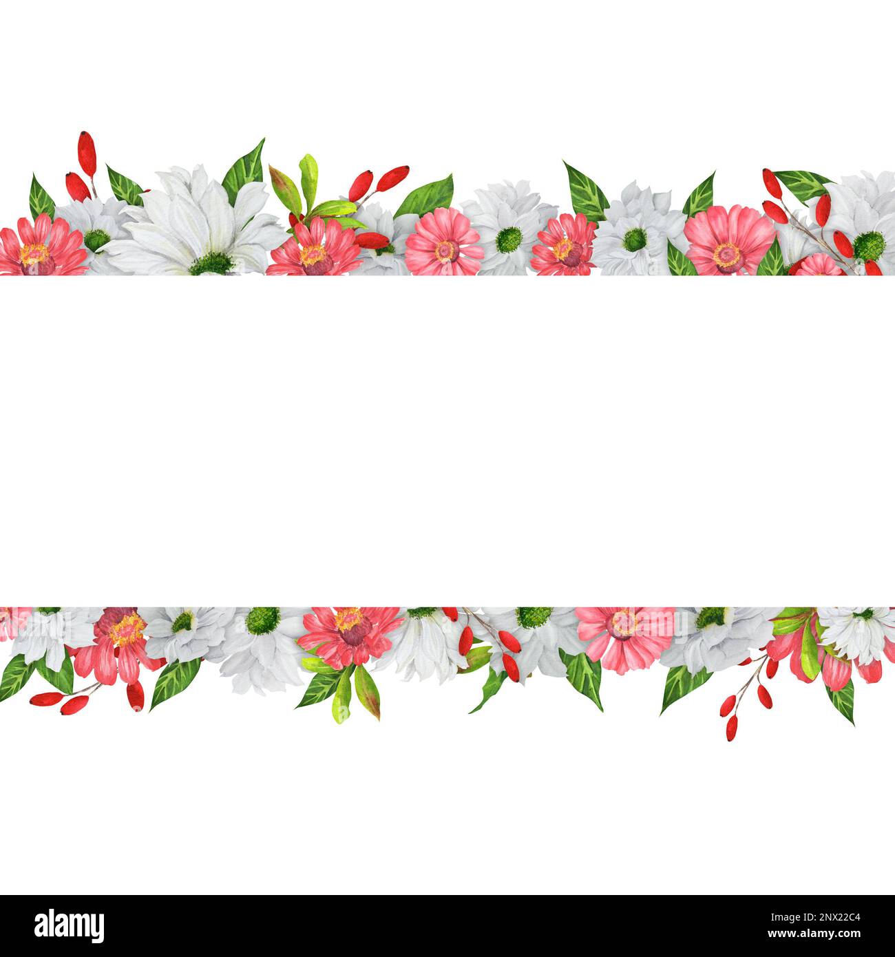 Hand-drawn watercolor borders with garden flowers: zinnia ...