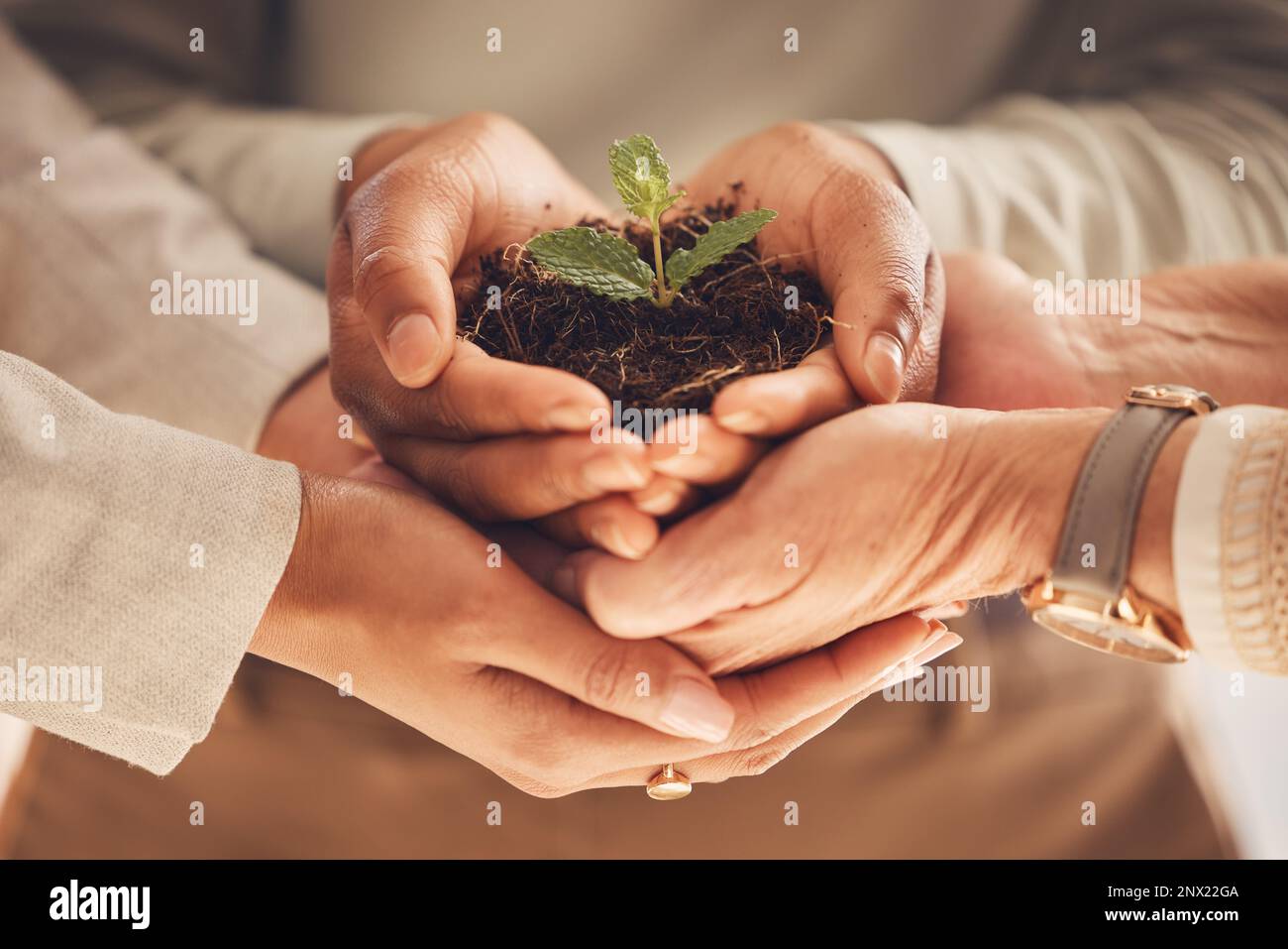 Ecology, soil and plant with team and hands, solidarity for environment ...