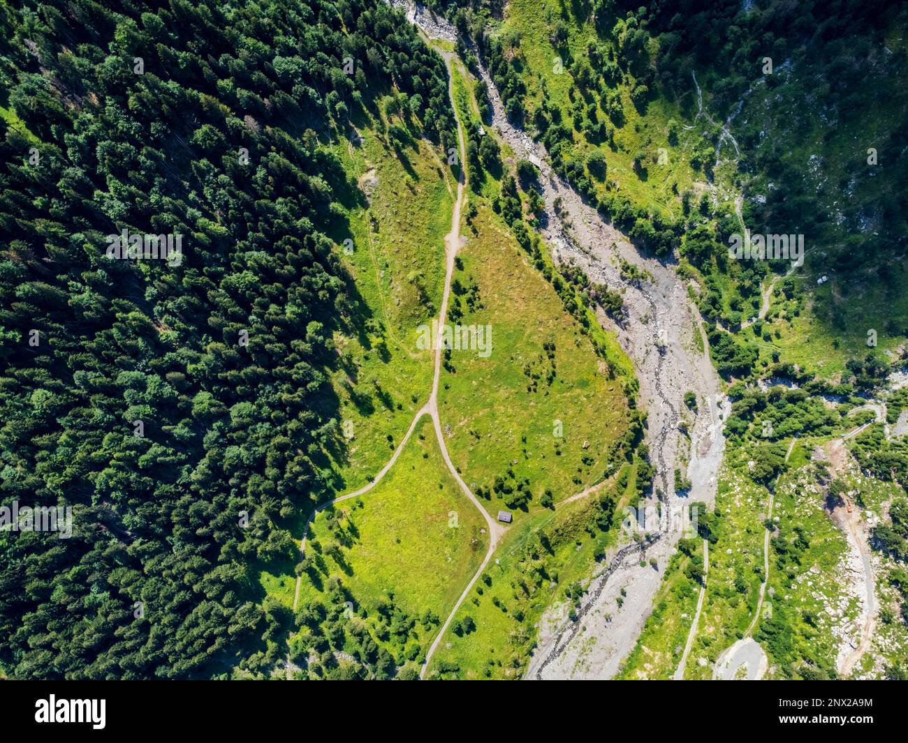 Carnia, Monte Croce pass and Monte Coglians. Nature in Friuli Stock ...