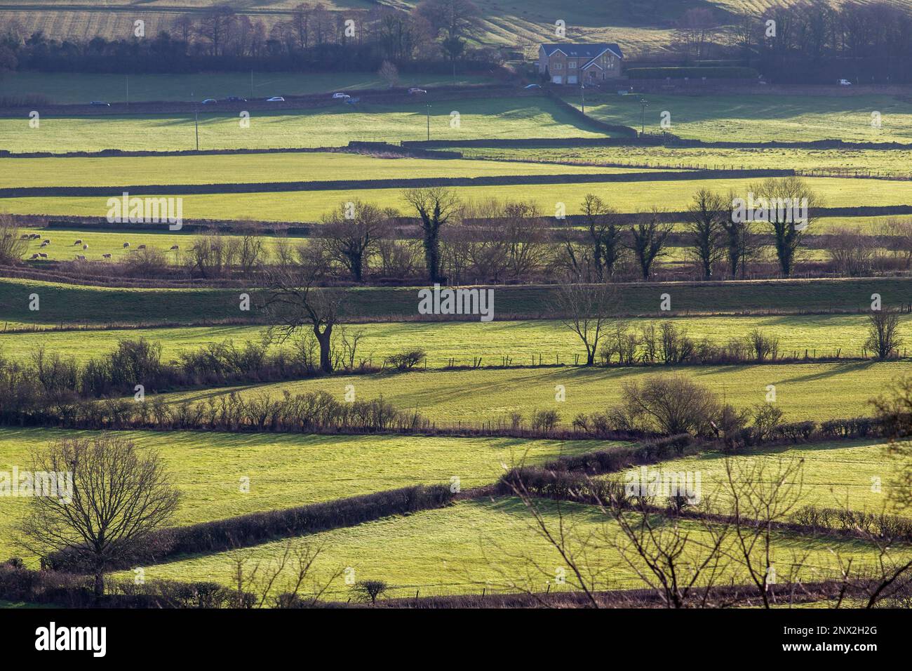 The Aire valley near Skipton, North Yorkshire. Airedale is a geographic ...