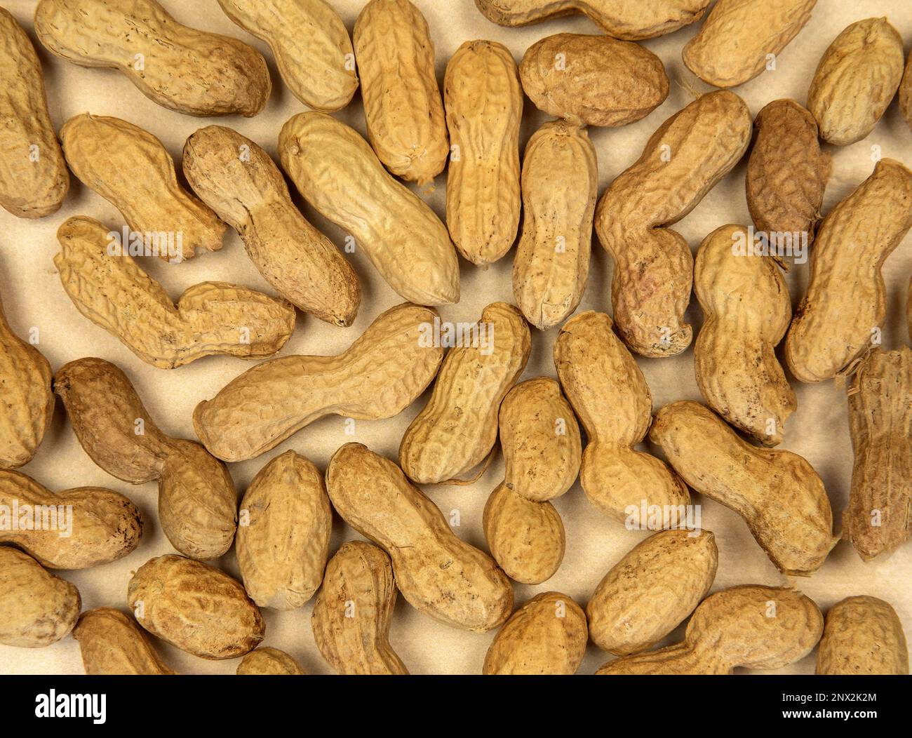 Peanuts in the shell roasted peanuts stacked up top view, background ...
