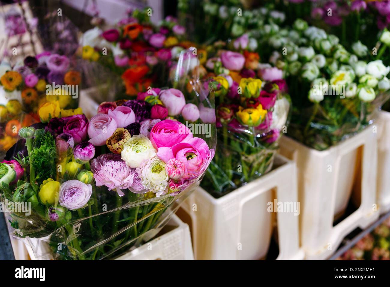 Peonies in boxes at the flower market Stock Photo - Alamy