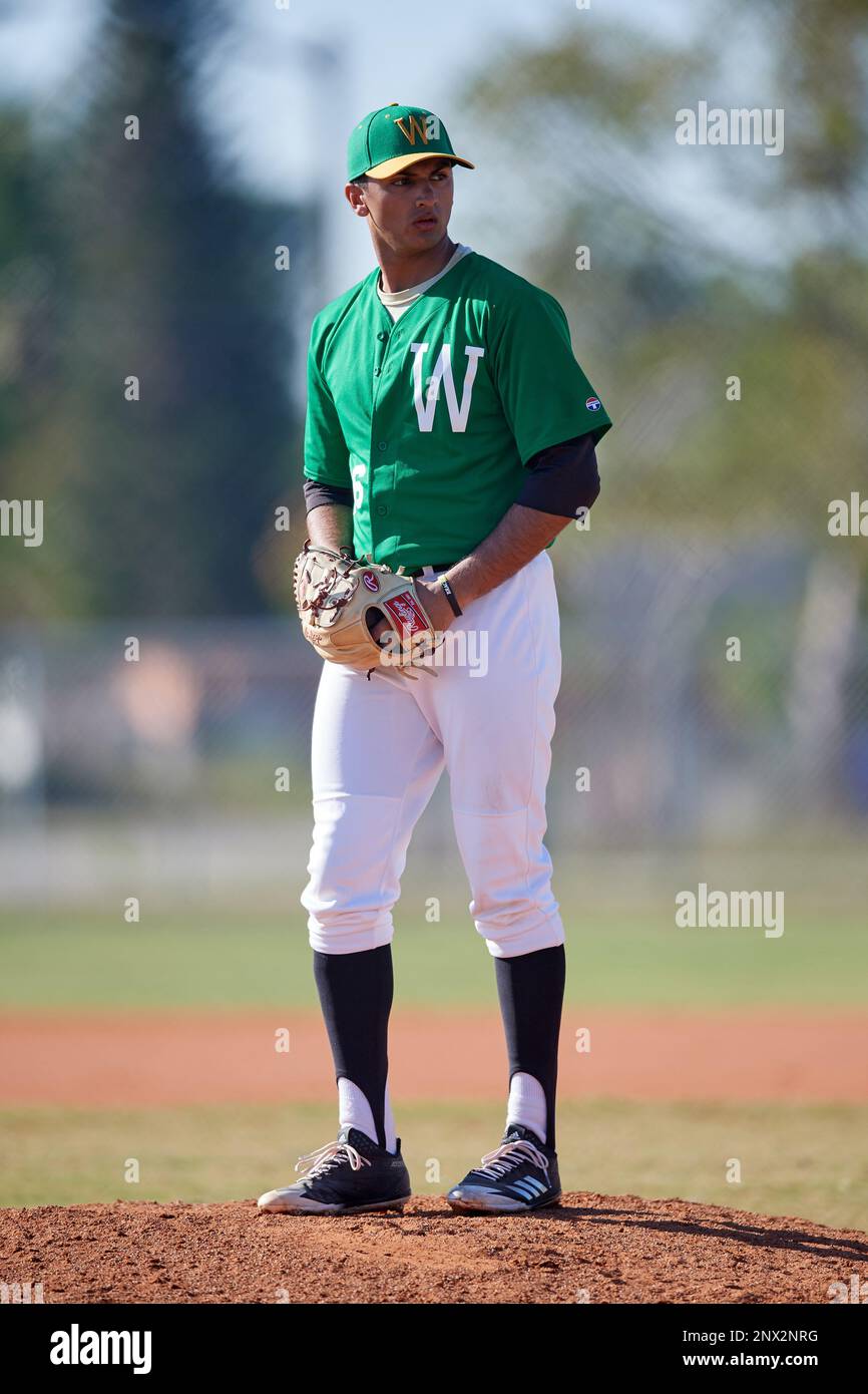 Wooster Fighting Scots starting pitcher Nanak Saran (26) gets ready to ...