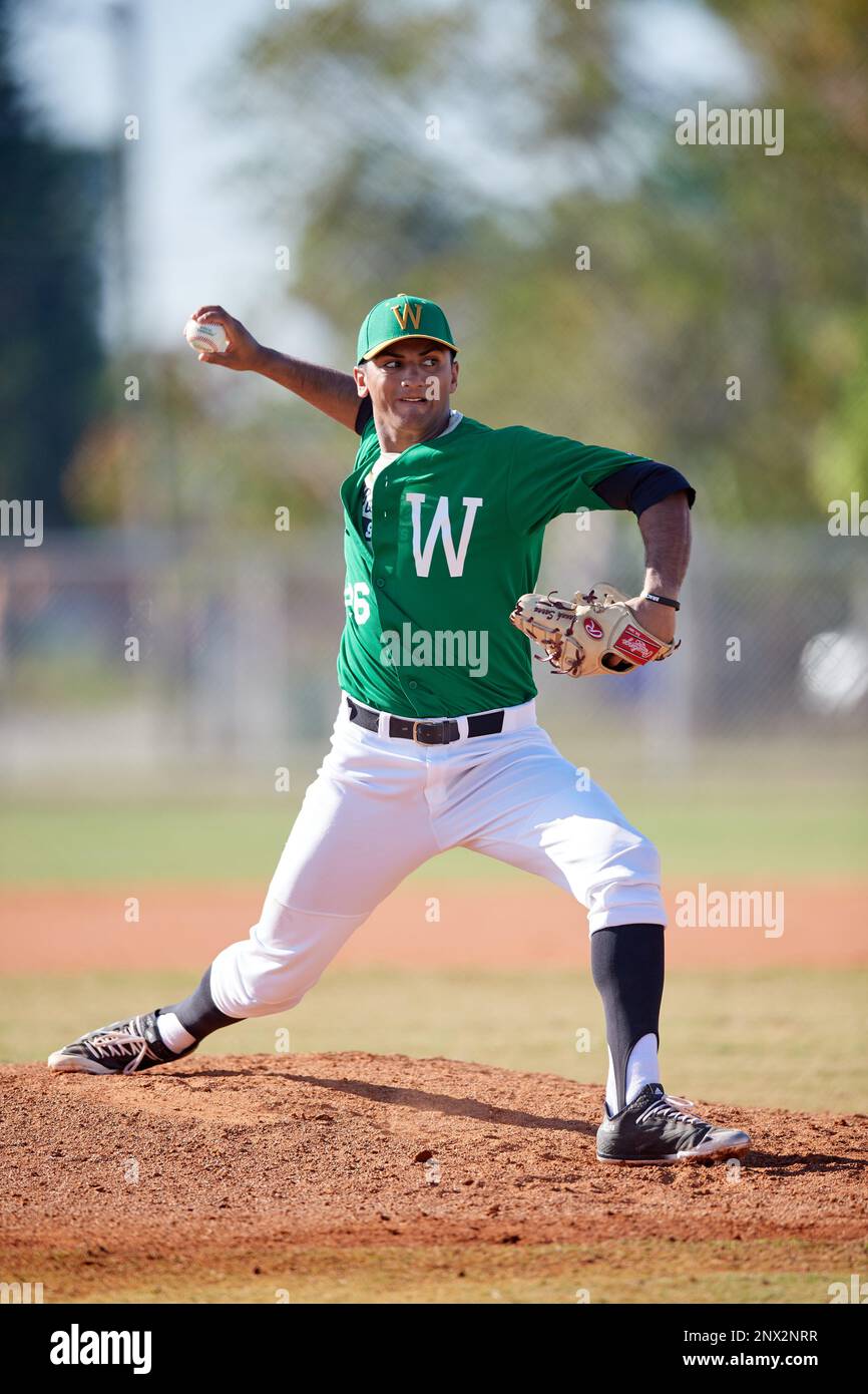 Wooster Fighting Scots starting pitcher Nanak Saran (26) delivers a ...