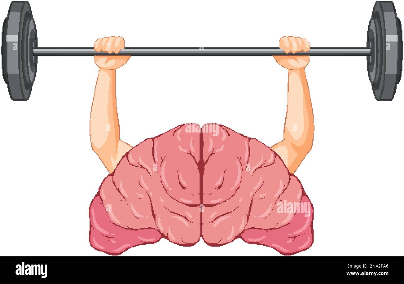 Brain with Strong Arms Vector illustration Stock Vector Image & Art - Alamy