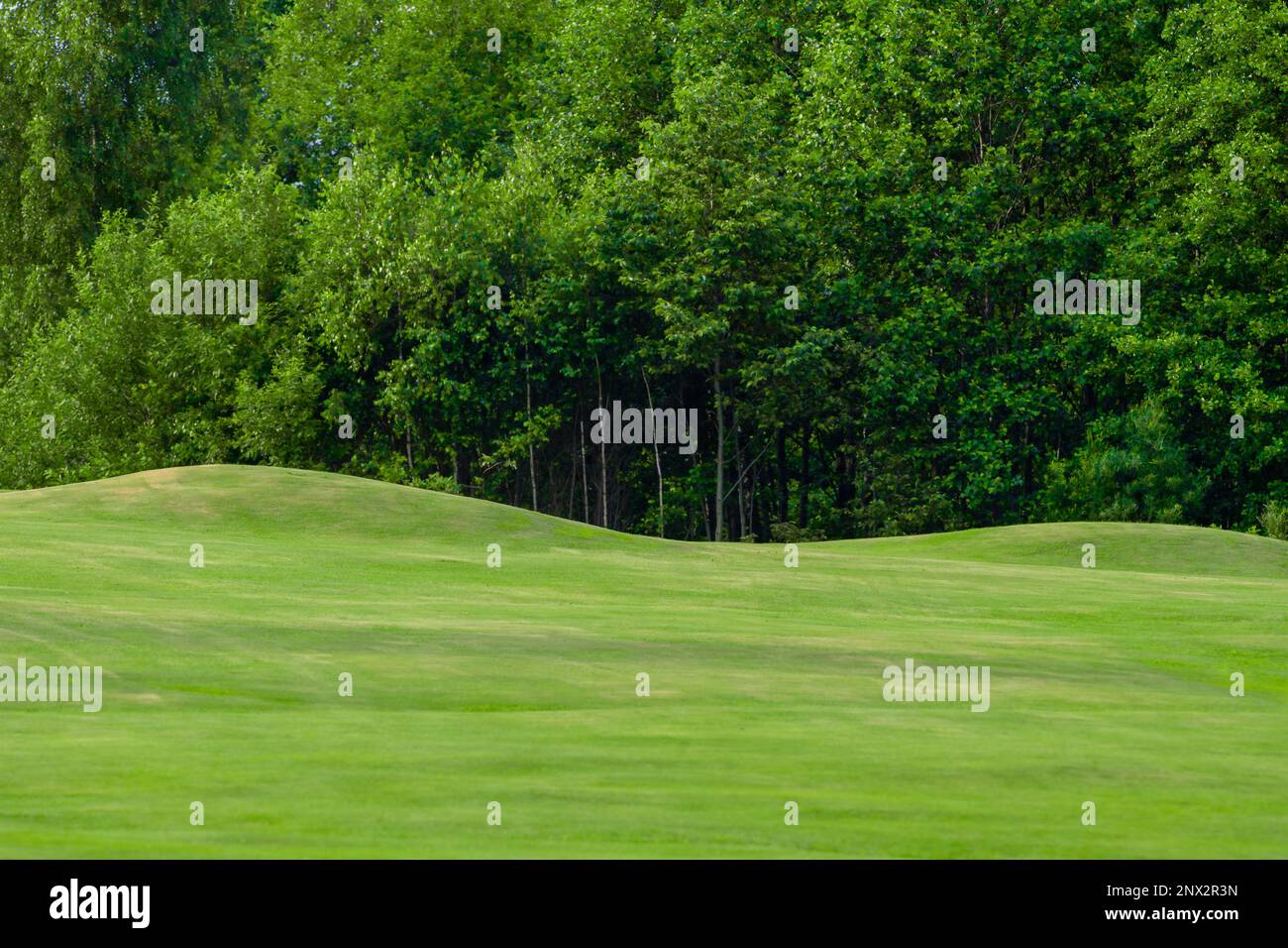 Grass sport field background. Horizontal sport and golf club, course ...