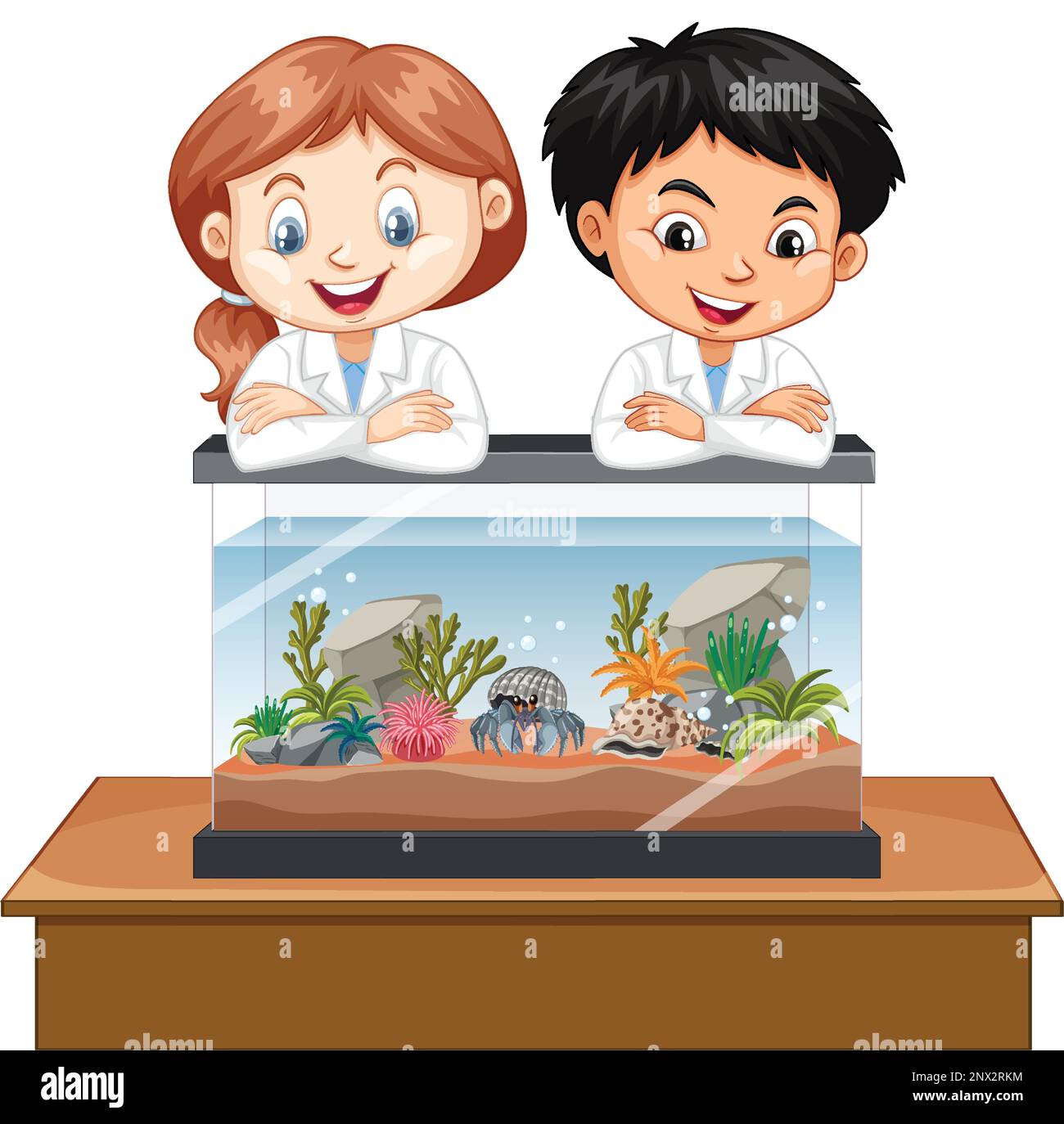 Two kids observe an aquarium fish tank illustration Stock Vector Image ...