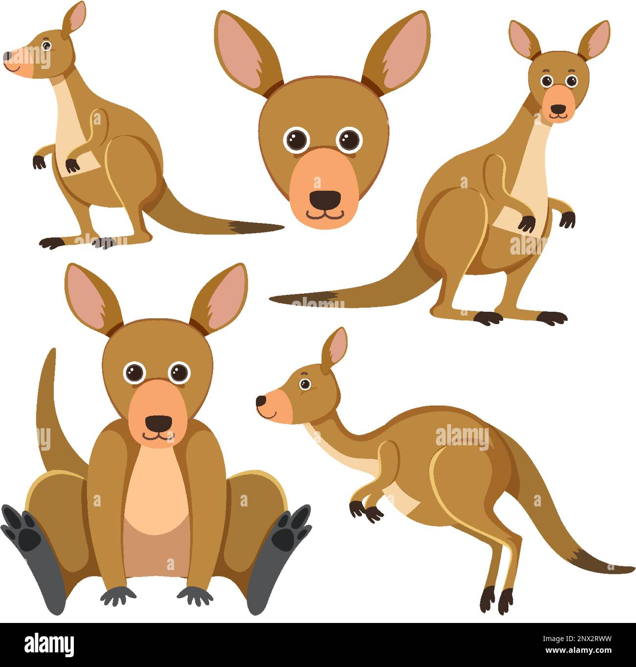 Set of cute kangaroo cartoon character illustration Stock Vector Image ...