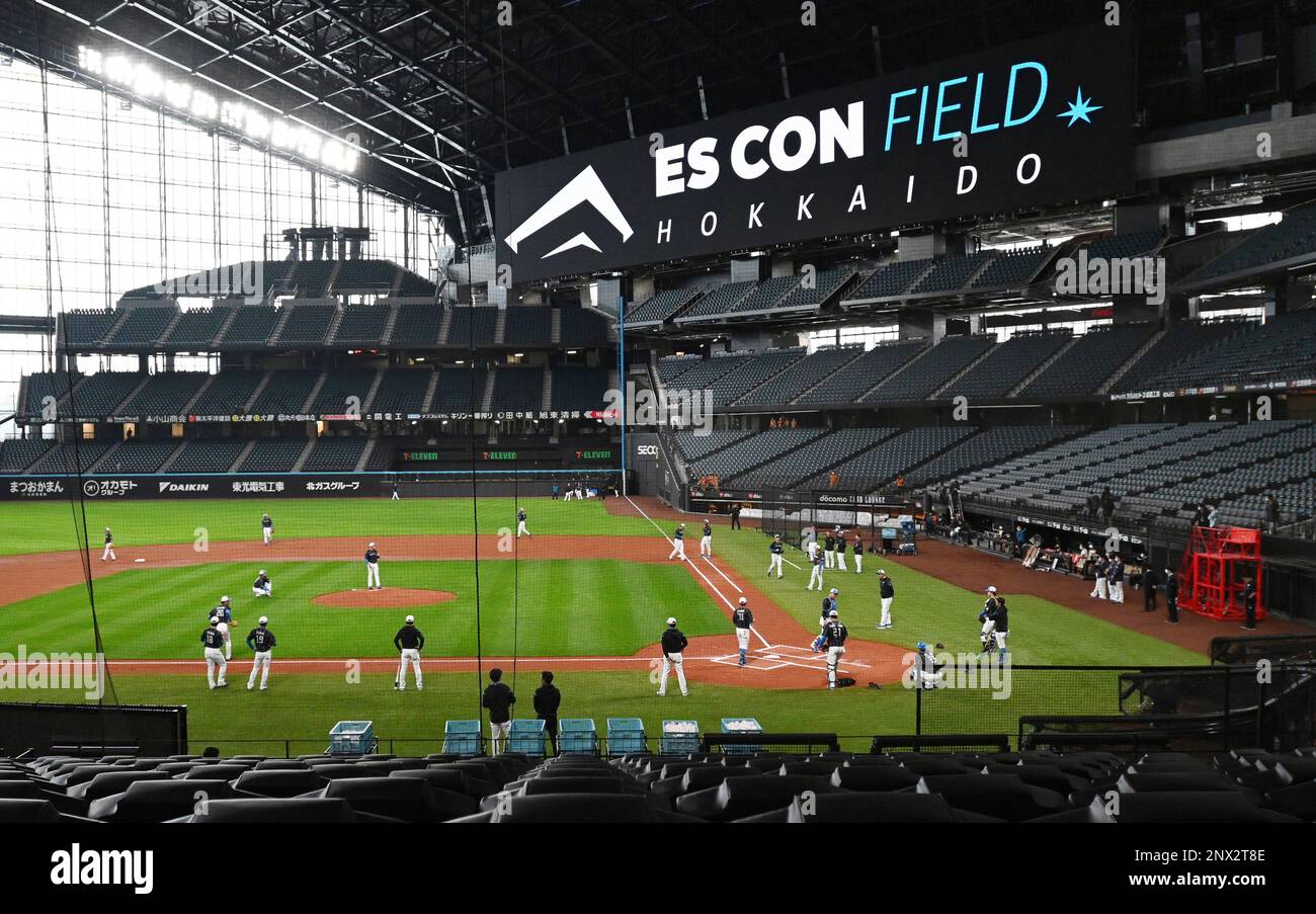 Players of Nippon Ham Fighters practice for the first time at ES CON ...
