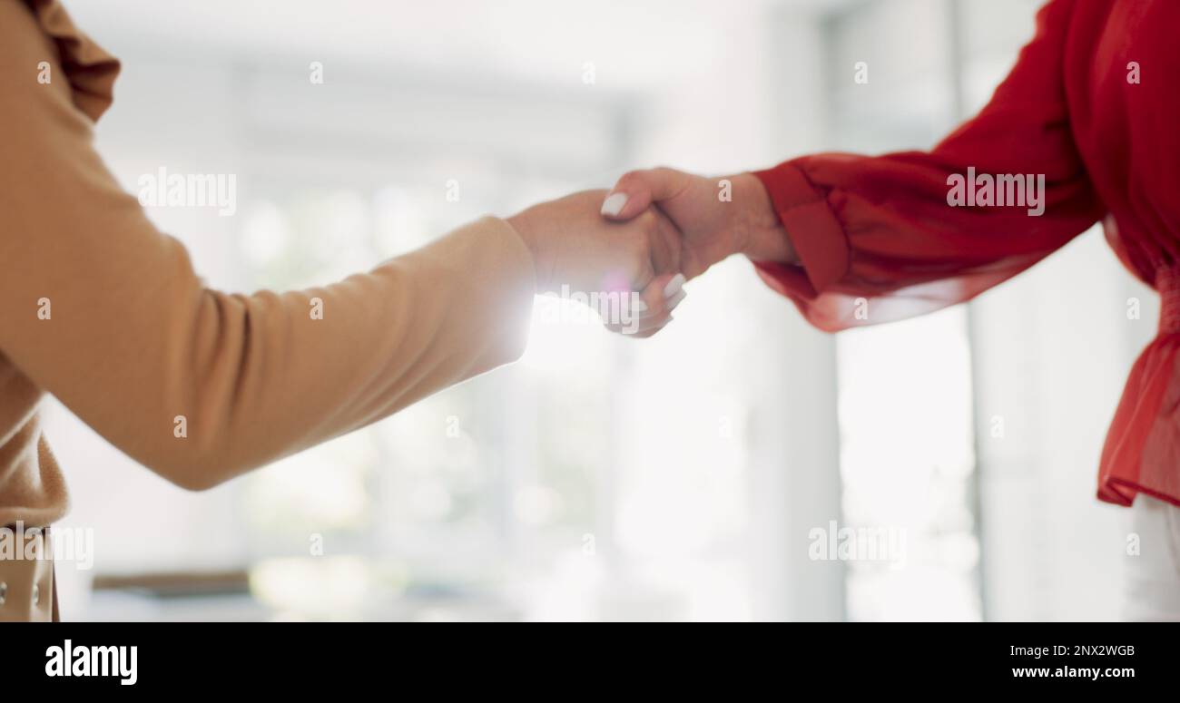 Partnership, thank you and handshake from business women happy with ...