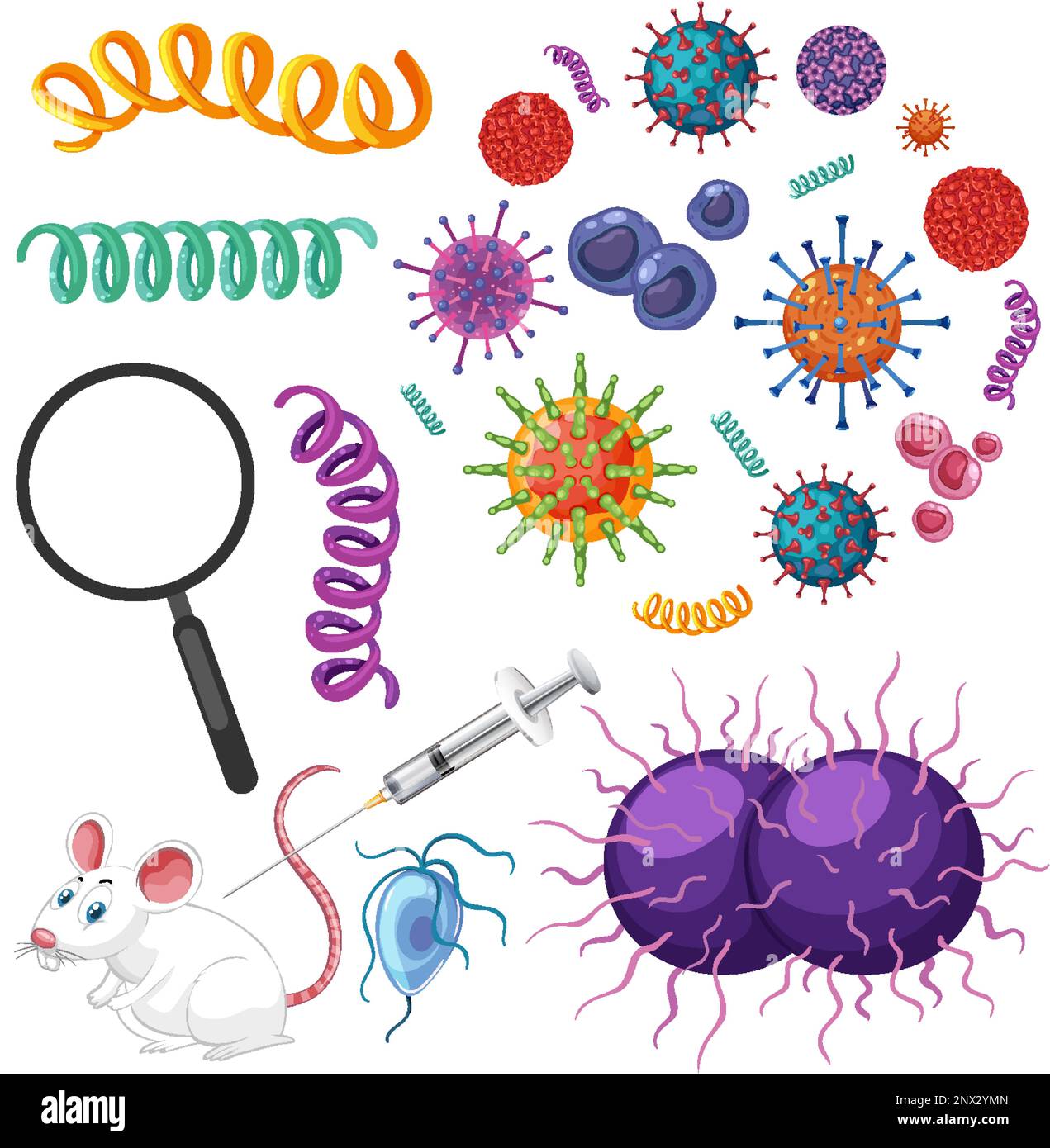 Bacteria Germs and Viruses Collection illustration Stock Vector Image ...