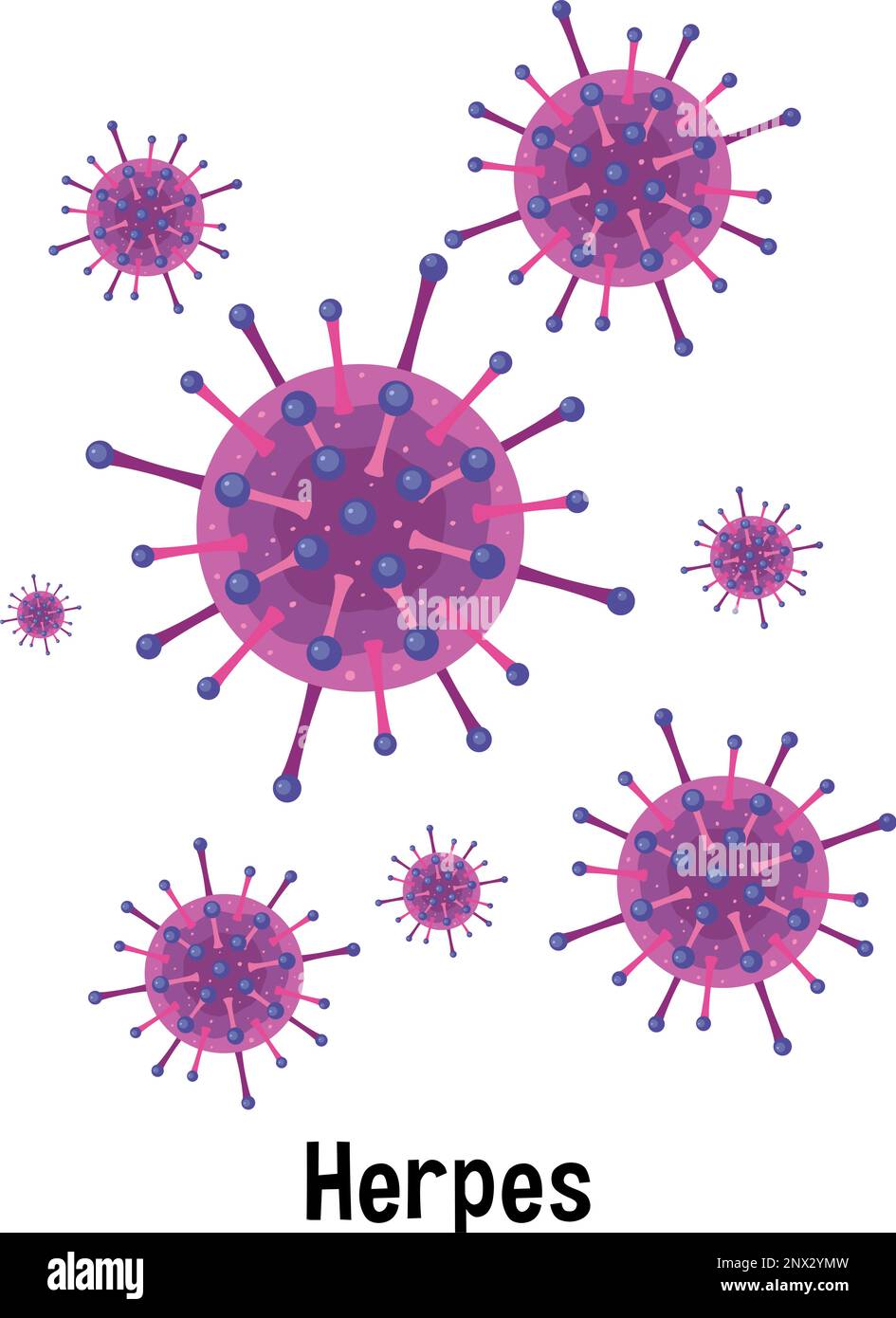 Herpes virus icon with text illustration Stock Vector Image & Art - Alamy