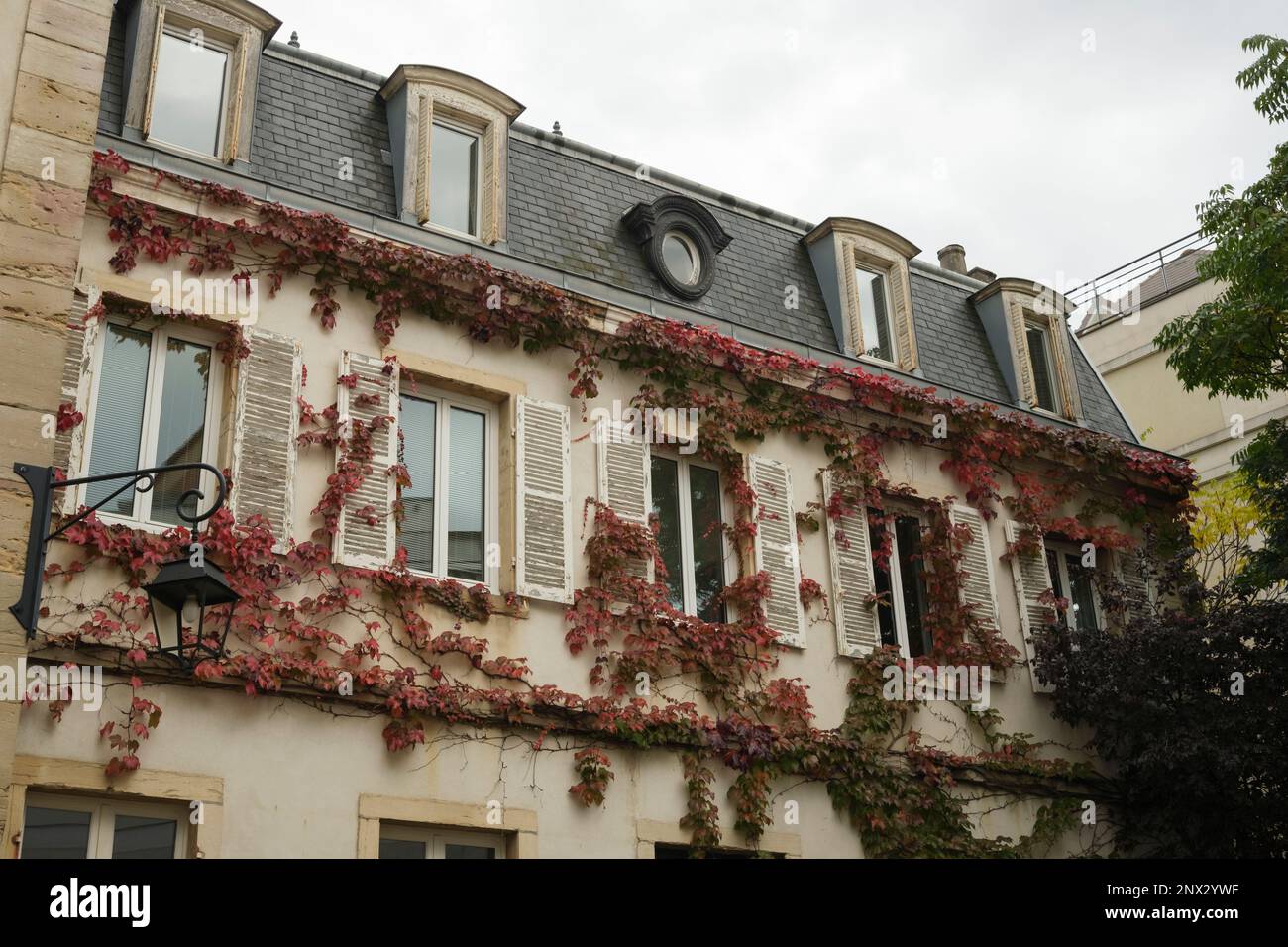 Typical building in France with a vine-covered facade Stock Photo - Alamy