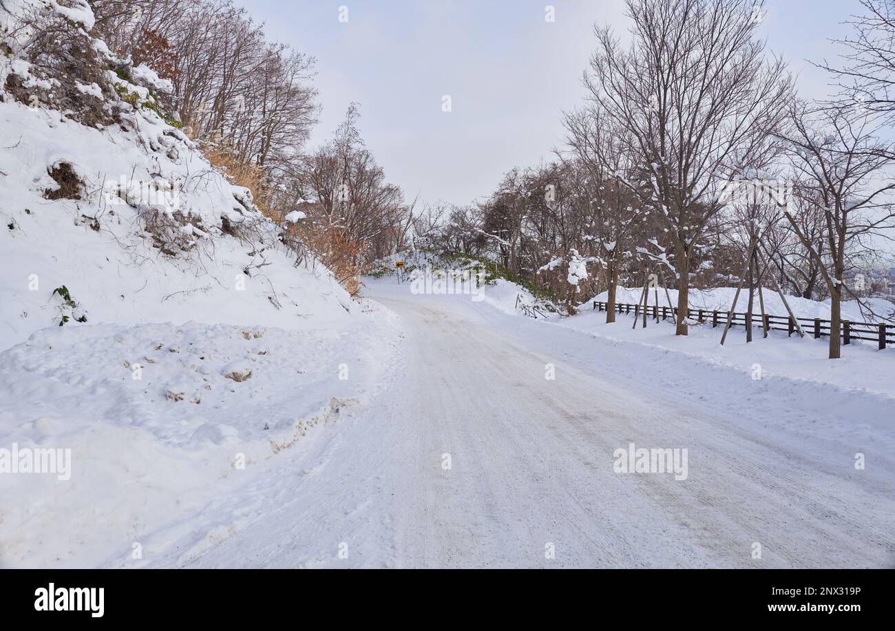 Empty snow road with tire tracks in the forest on cloudy winter day ...