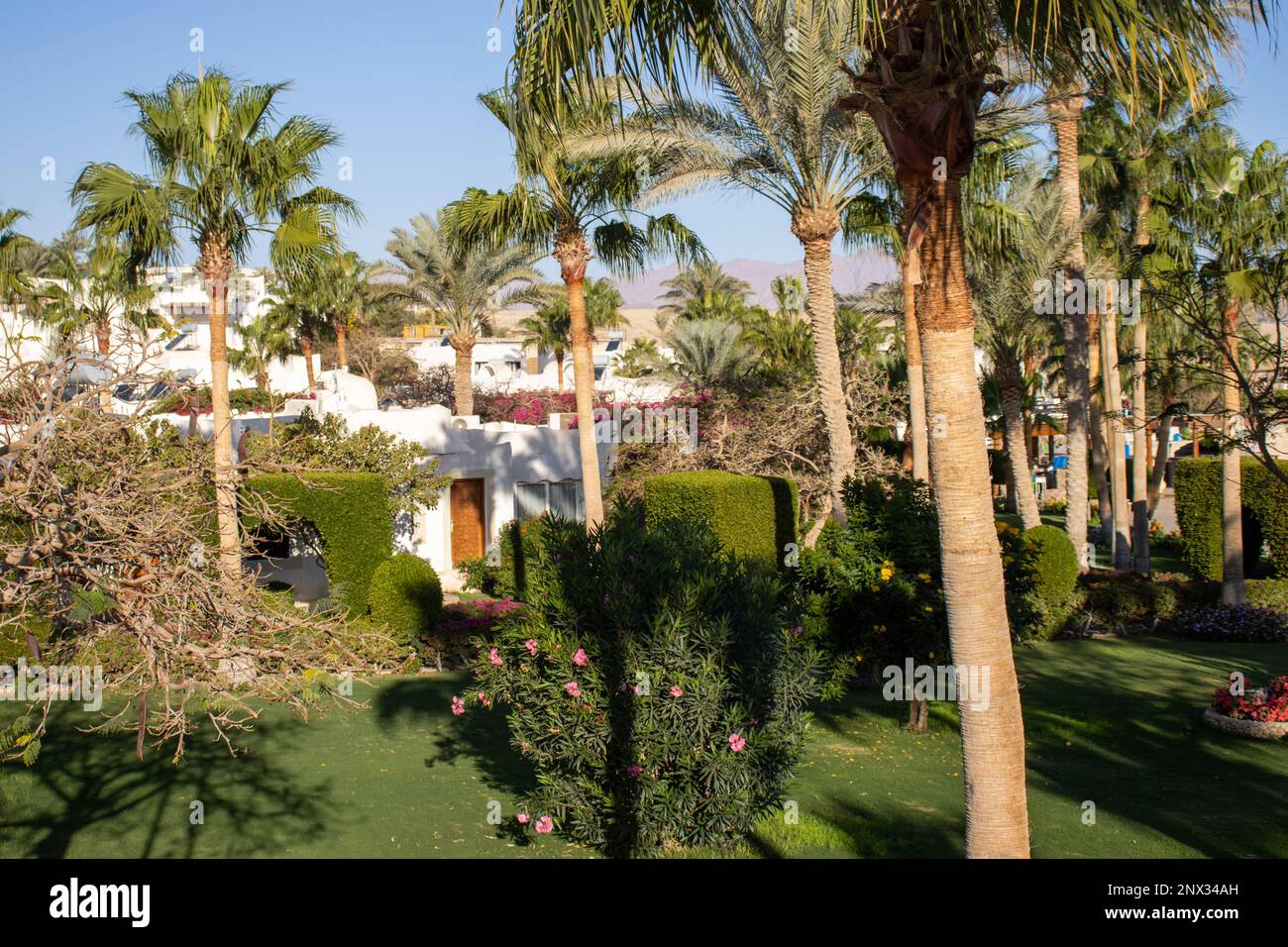 SHARM EL SHEIKH, EGYPT - JANUARY 31, 2023 Labranda Sharm Club with ...