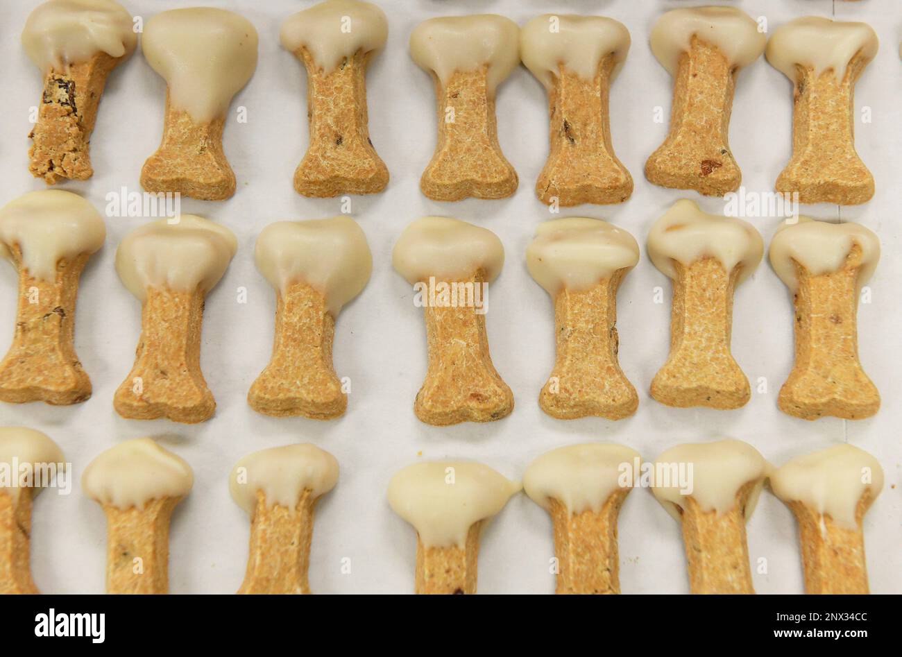 This June 11, 2018, photo shows Fido's Fudge dog treats at Nate's Candy ...