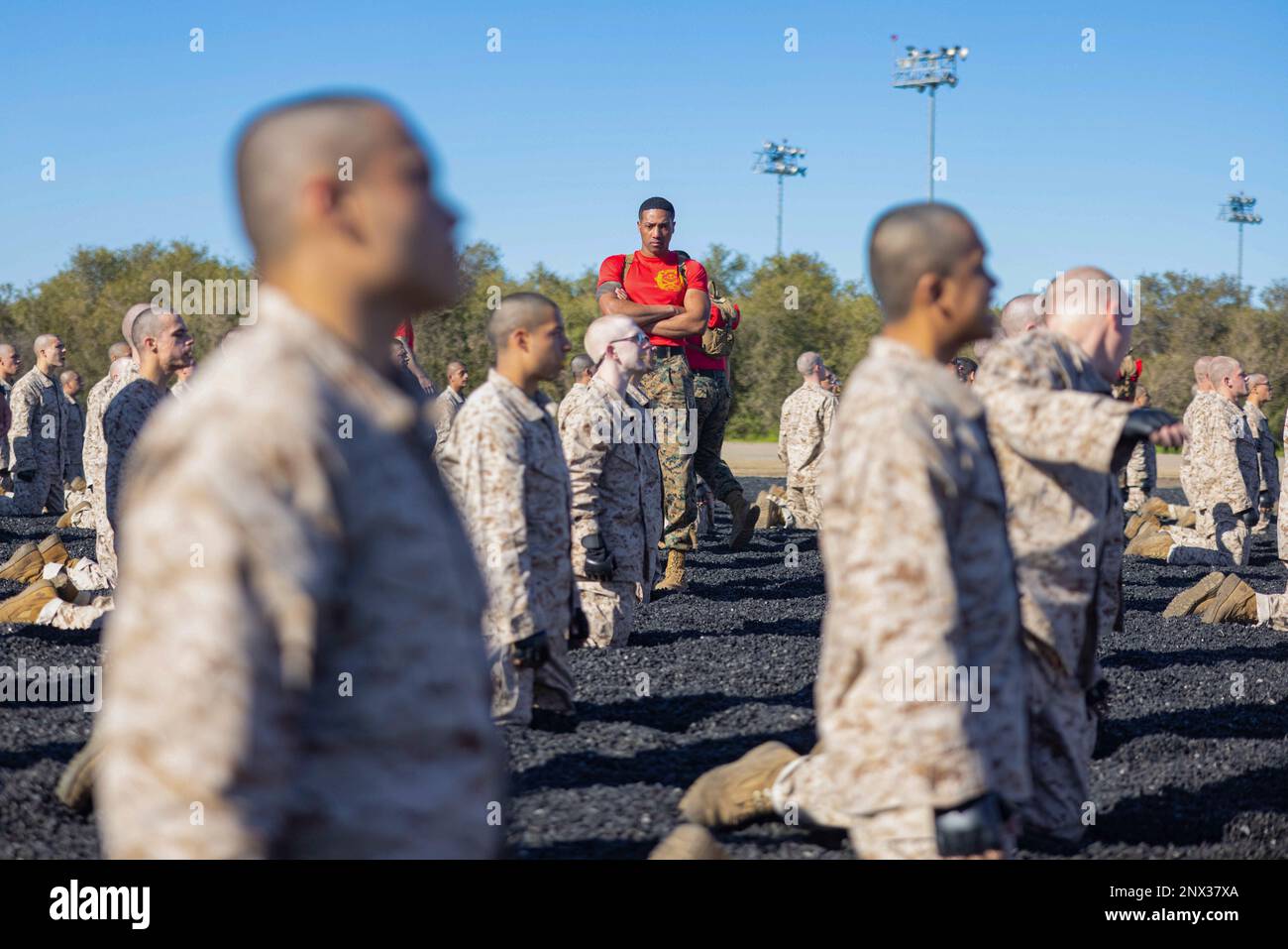 A U.S. Marine Corps drill instructor with Alpha Company, 1st Recruit ...