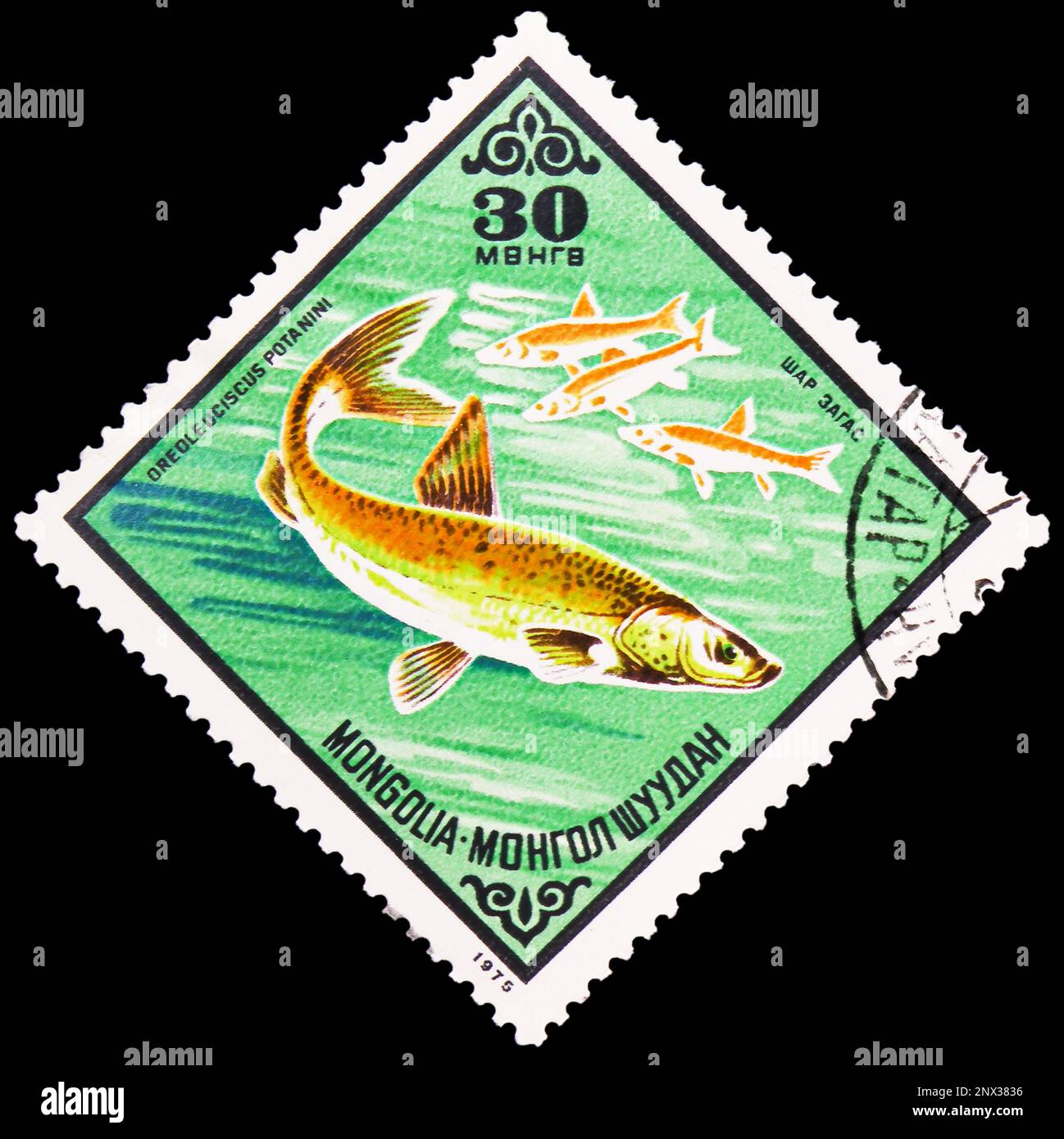 MOSCOW, RUSSIA - FEBRUARY 15, 2023: Postage stamp printed in Mongolia ...