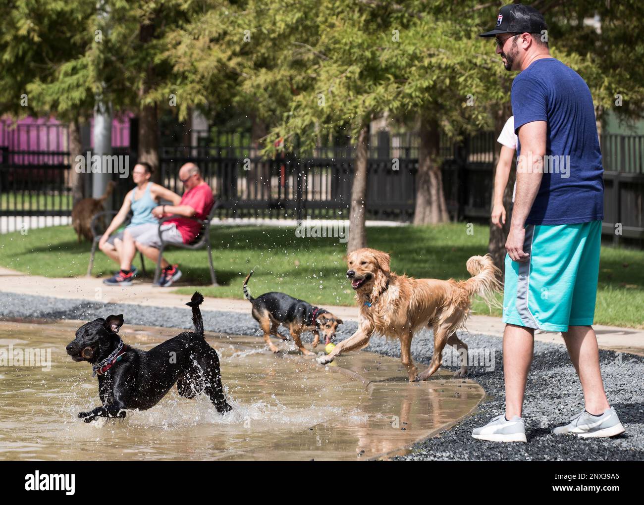 In this Monday, June 11, 2018 photo, David Camp watches his dog, Lewis ...