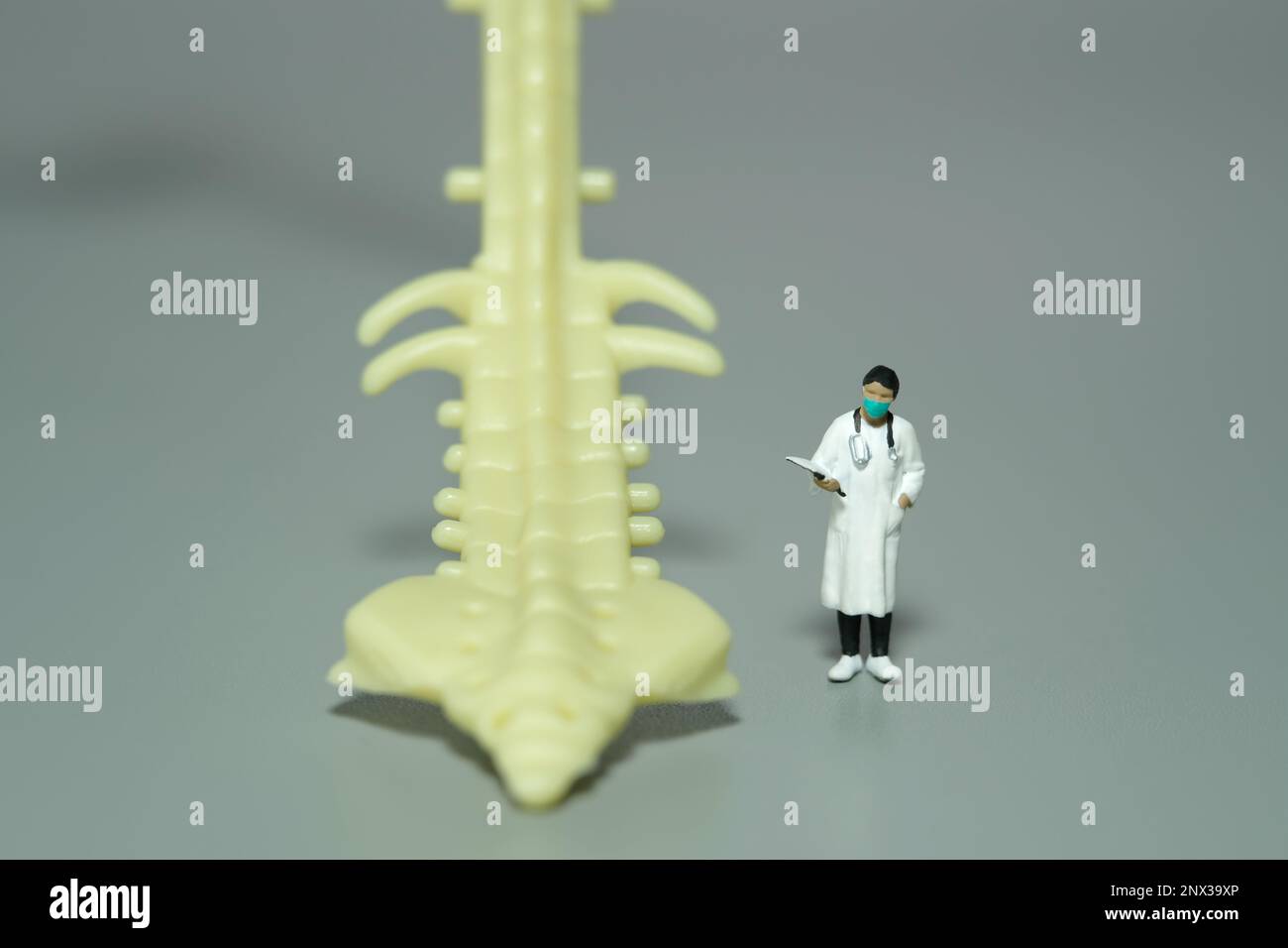Miniature people toy figure photography. A female doctor standing above ...