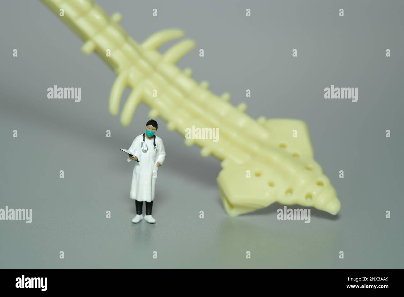 Miniature people toy figure photography. A female doctor standing above ...