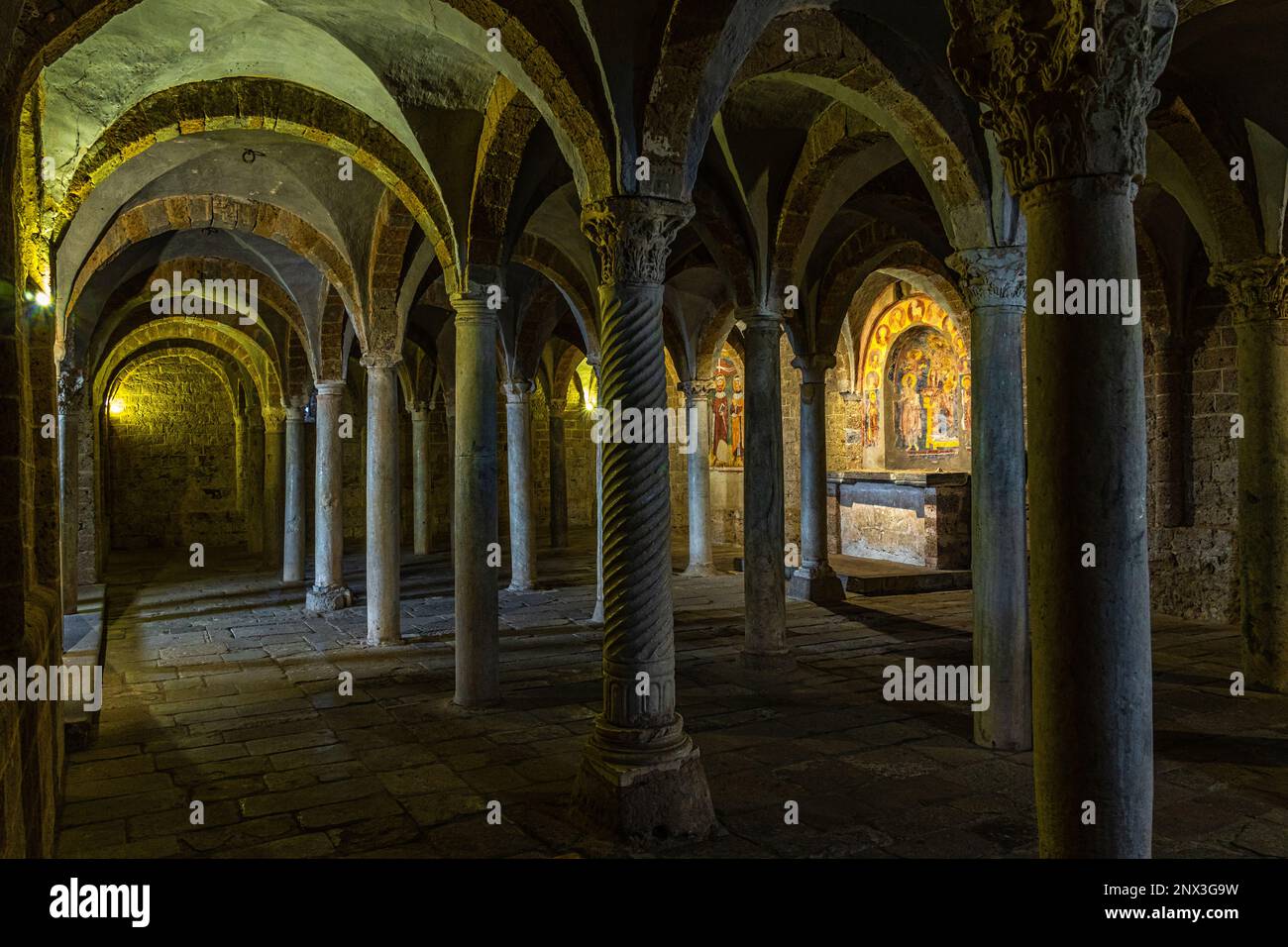 The colonnade that supports the cross vaults of the crypt of the ...