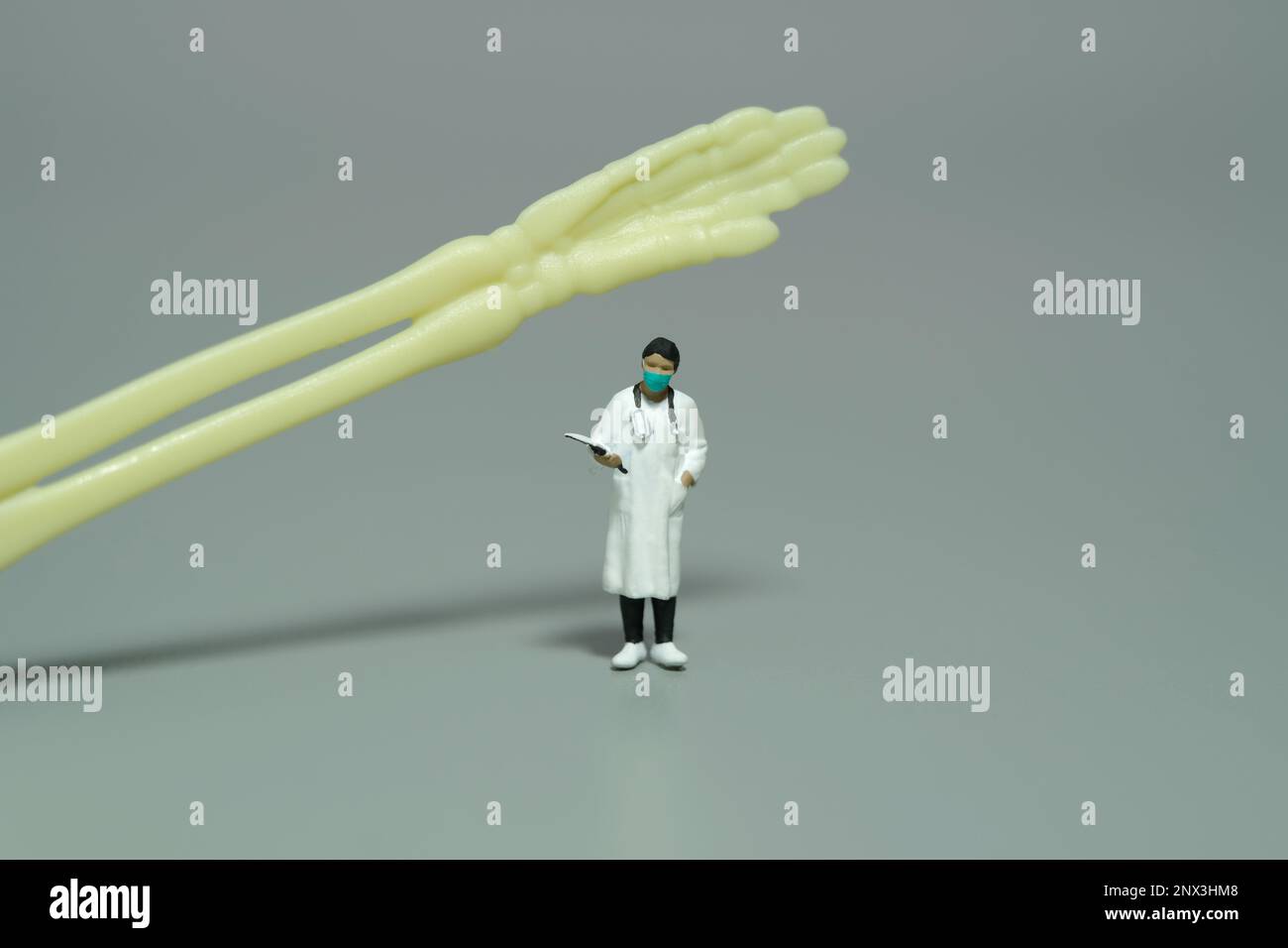 Miniature people toy figure photography. A female doctor standing ...