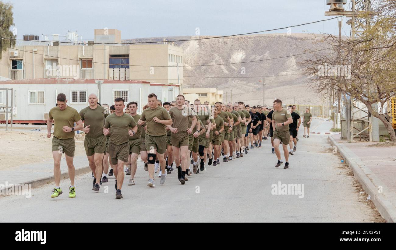 U.S. Marines with 2nd Assault Amphibian Battalion, 2nd Marine Division ...