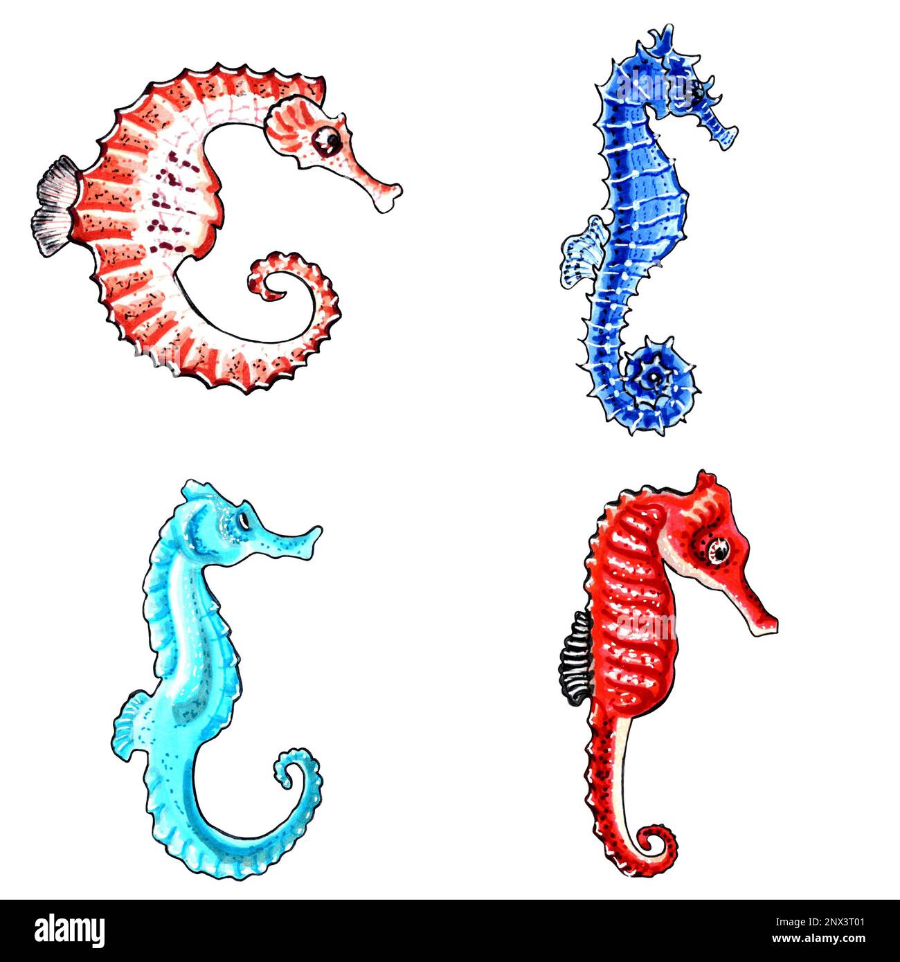 Set of brown, blue, red and aqua color seahorses isolated on ...