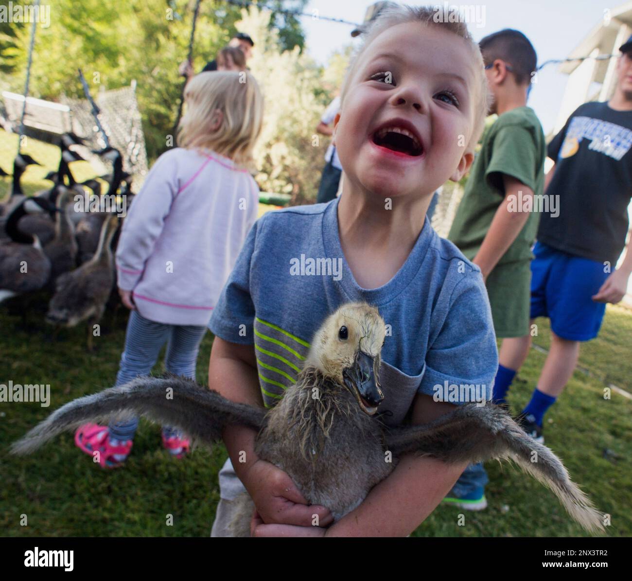 In this Tuesday, June 5, 2018, photo, Ruger Severnak, 3, Murray, holds ...