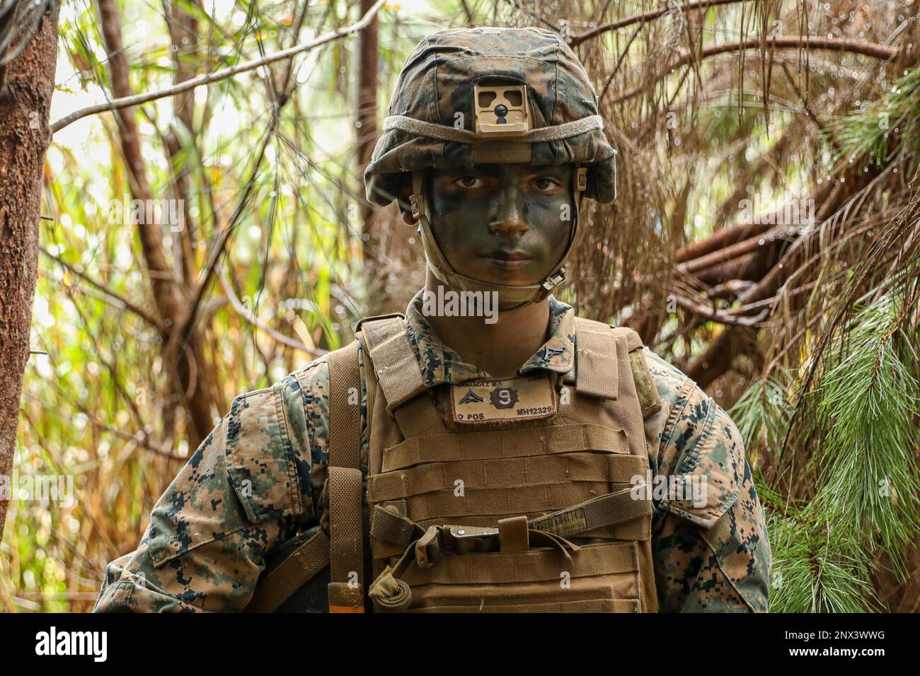 U.S. Marine Corps Lance Cpl. Matthew E. Hernandez, a combat engineer ...