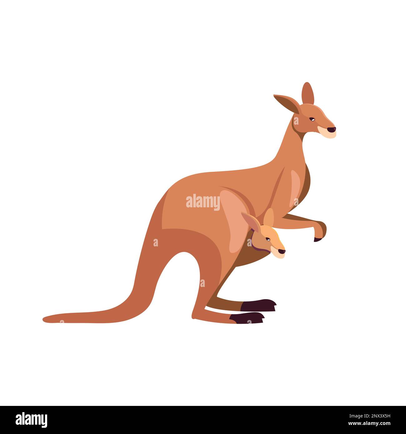 Kangaroo animal mother with child in pocket cute cartoon. Vector illustration Stock Vector Image ...