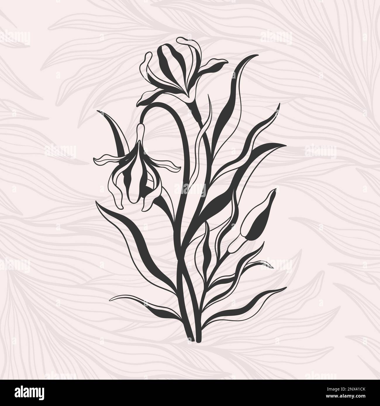 Floral iris flower in art nouveau 1920-1930. Hand drawn iris in a ...