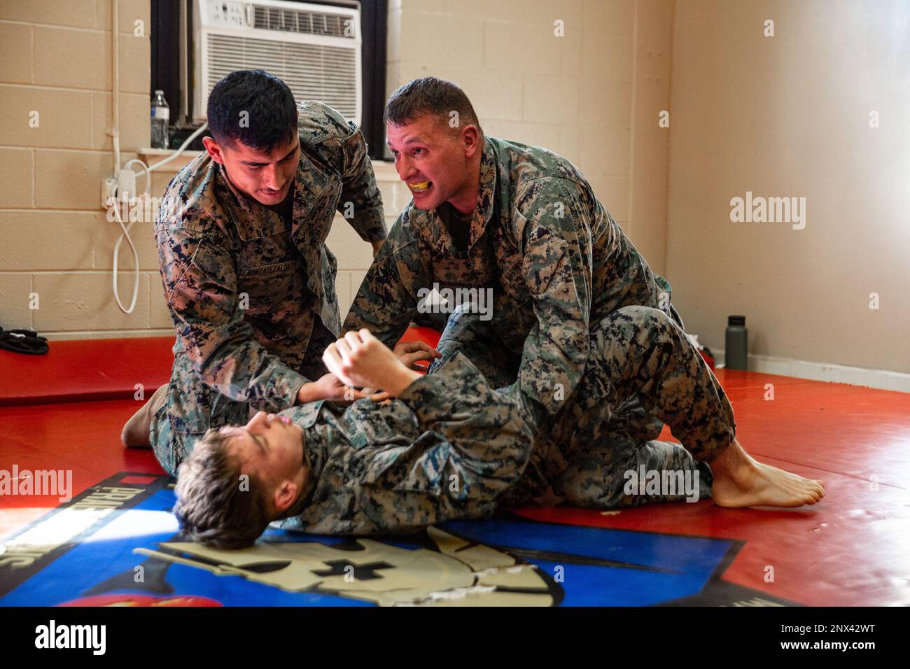 U.S. Marine Corps Lt. Col. Ryan Harrington, the commanding officer of ...