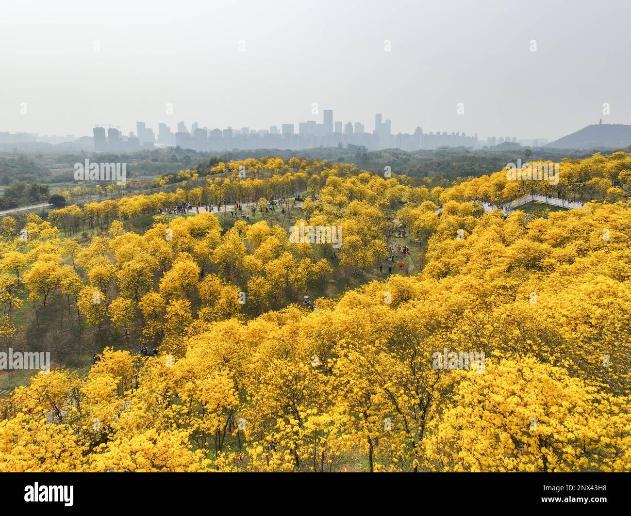 **CHINESE MAINLAND, HONG KONG, MACAU AND TAIWAN OUT** Aerial photo ...