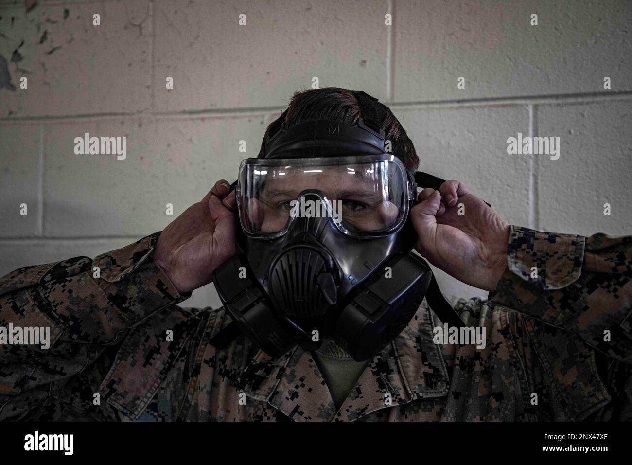 U.S. Marines assigned to the 24th Marine Expeditionary Unit participate ...
