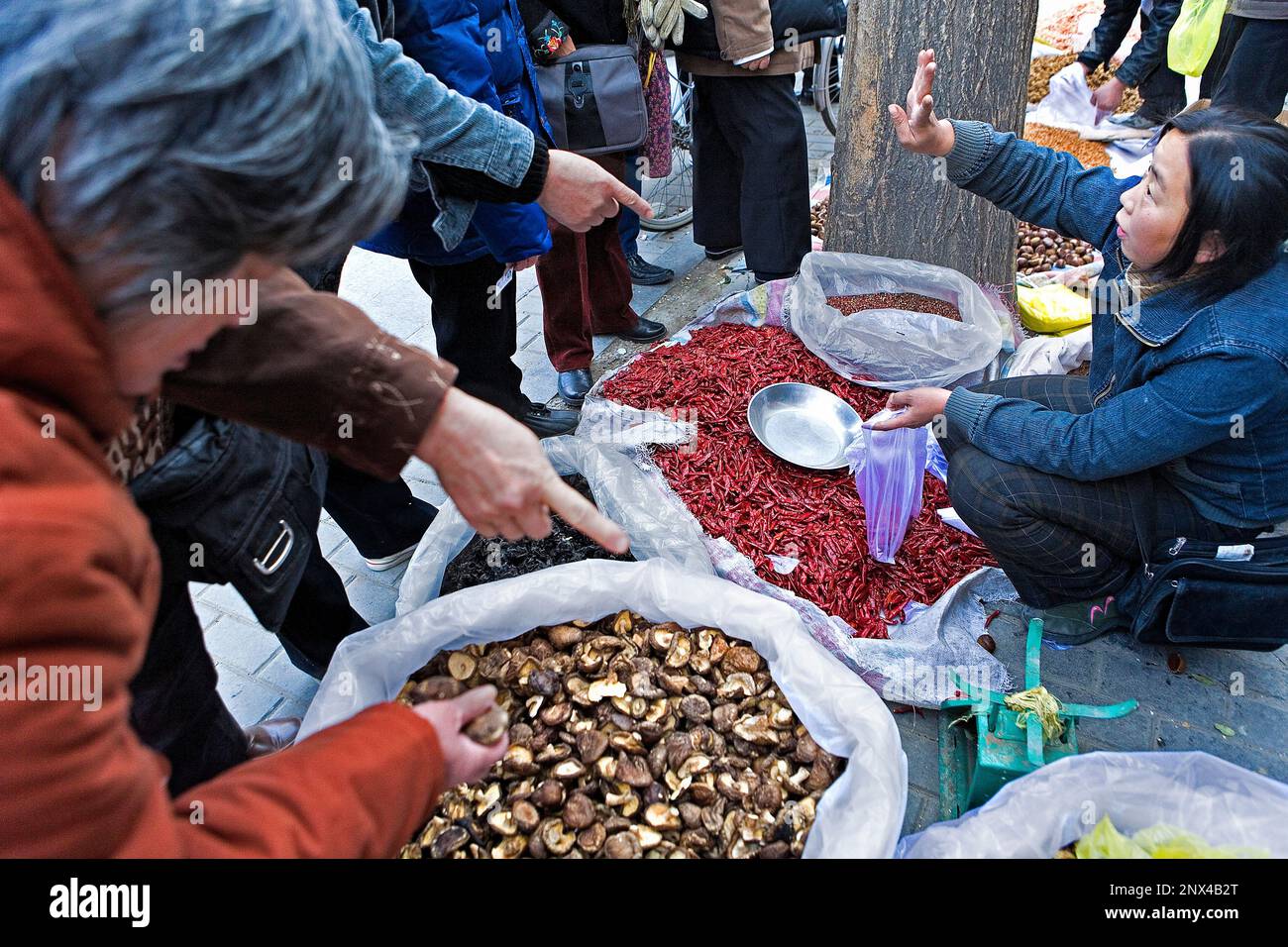 Market at east entrance of Beihai park, in Dashizuo Hutong,Beijing ...