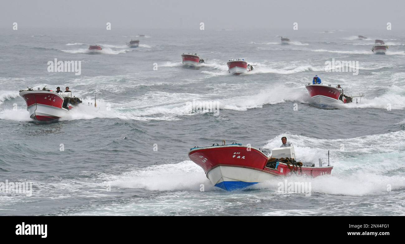 Fishing boats arrive at Goyomai Gyoko port after fishing seaweeds at ...