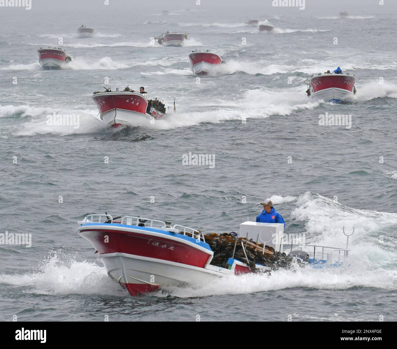 Fishing boats arrive at Goyomai Gyoko port after fishing seaweeds at ...